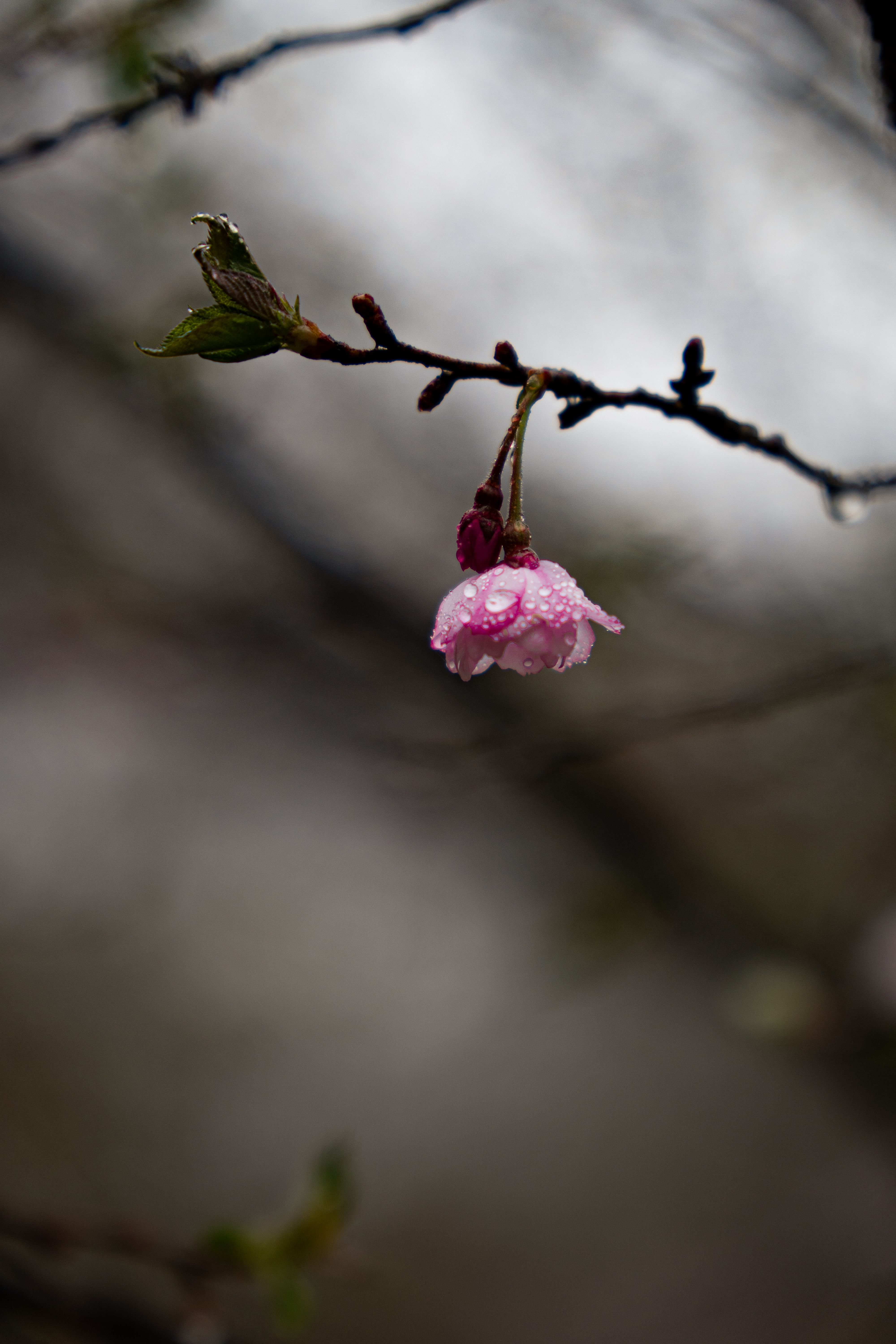 4k Resolution Photos, Download The BEST Free 4k Resolution Stock Photos ...