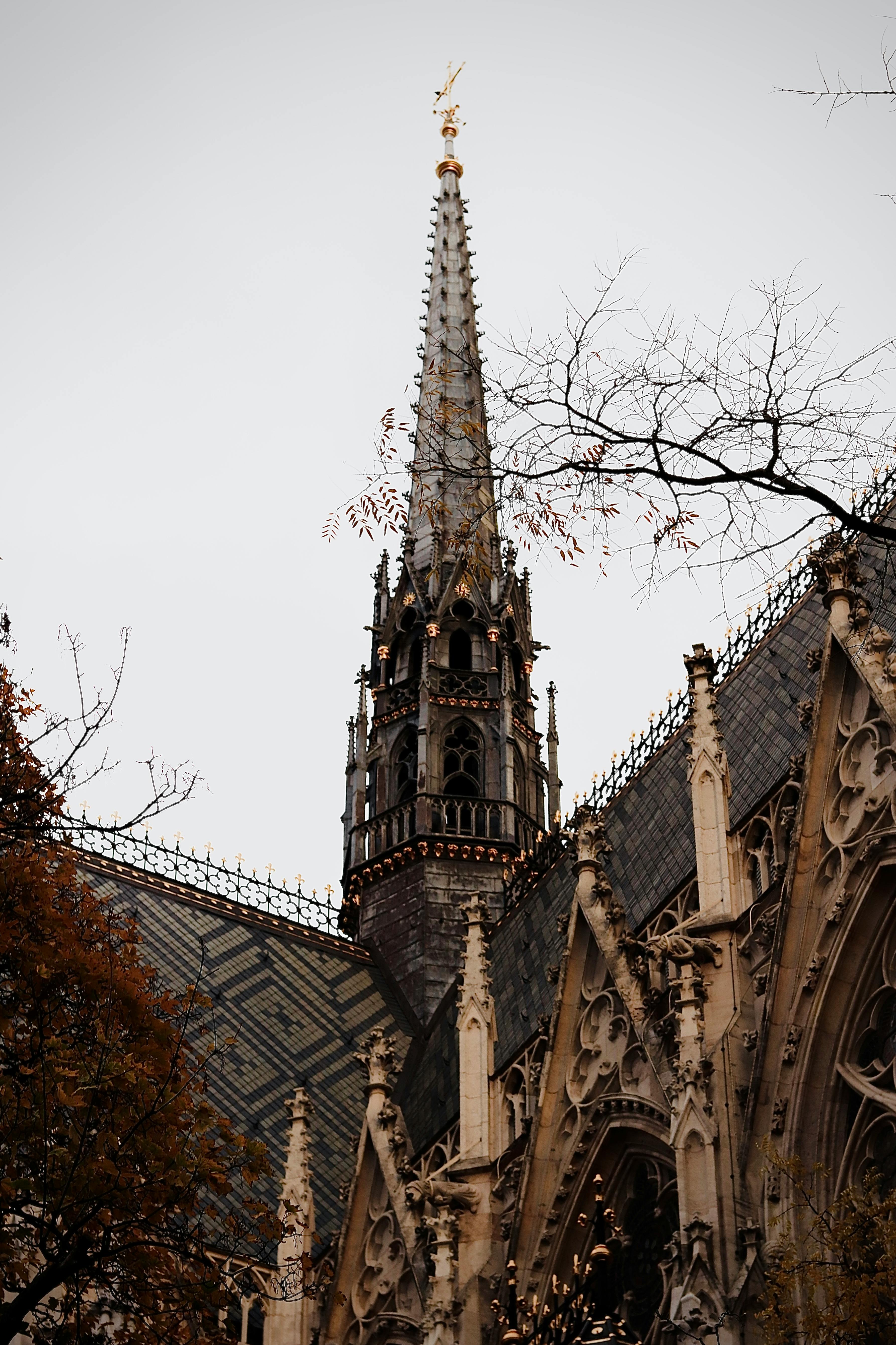 Spire of a Gothic Church · Free Stock Photo