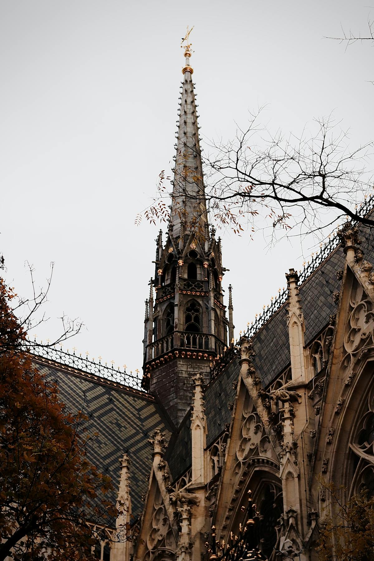 Gothic Architecture Photos, Download The BEST Free Gothic Architecture ...