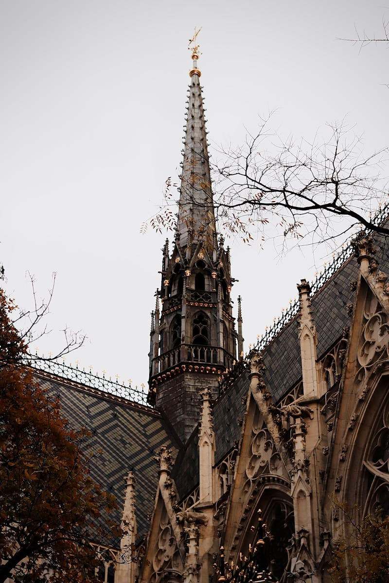 Gothic Architecture Photos, Download The BEST Free Gothic Architecture ...