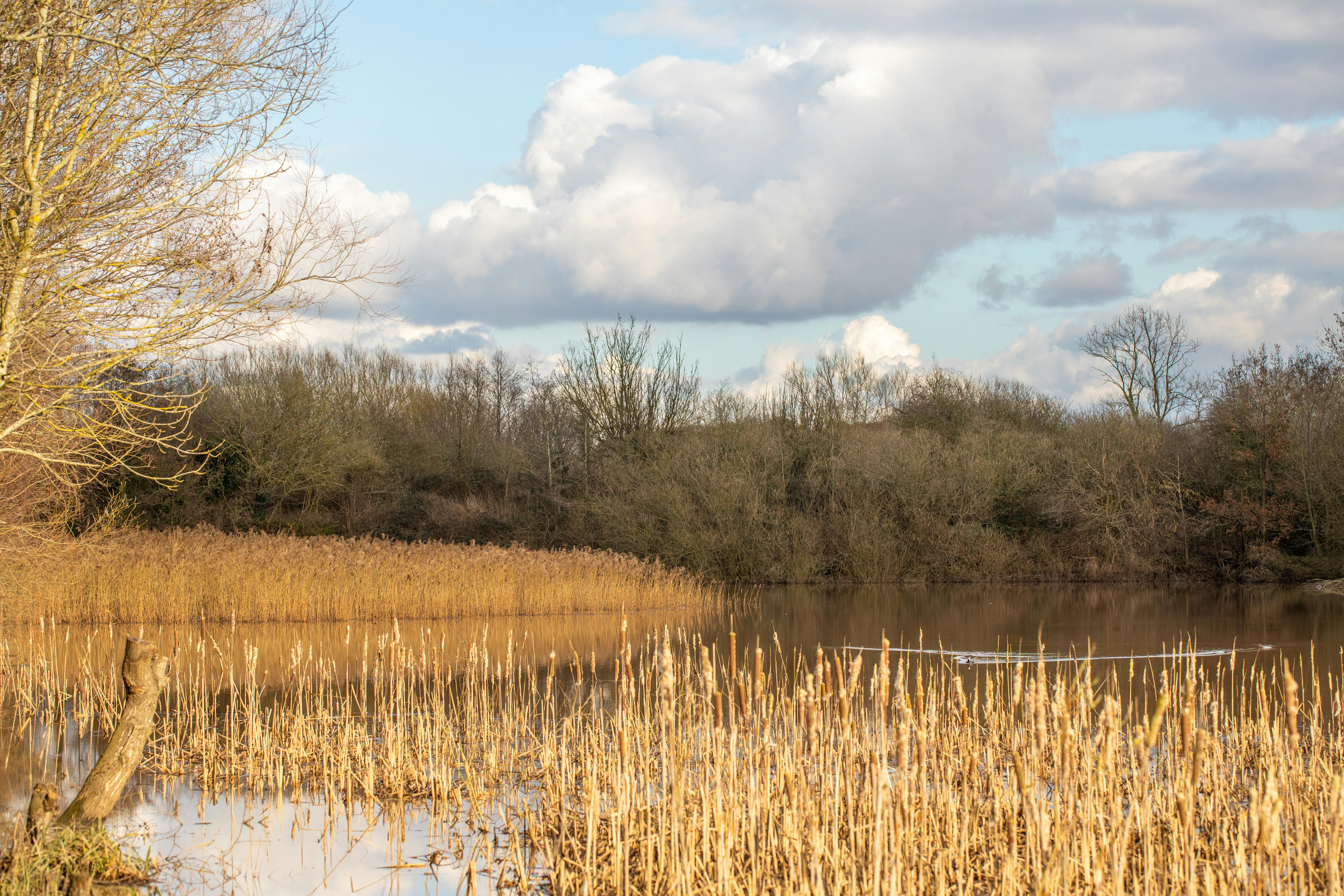 David Roberts - Photography