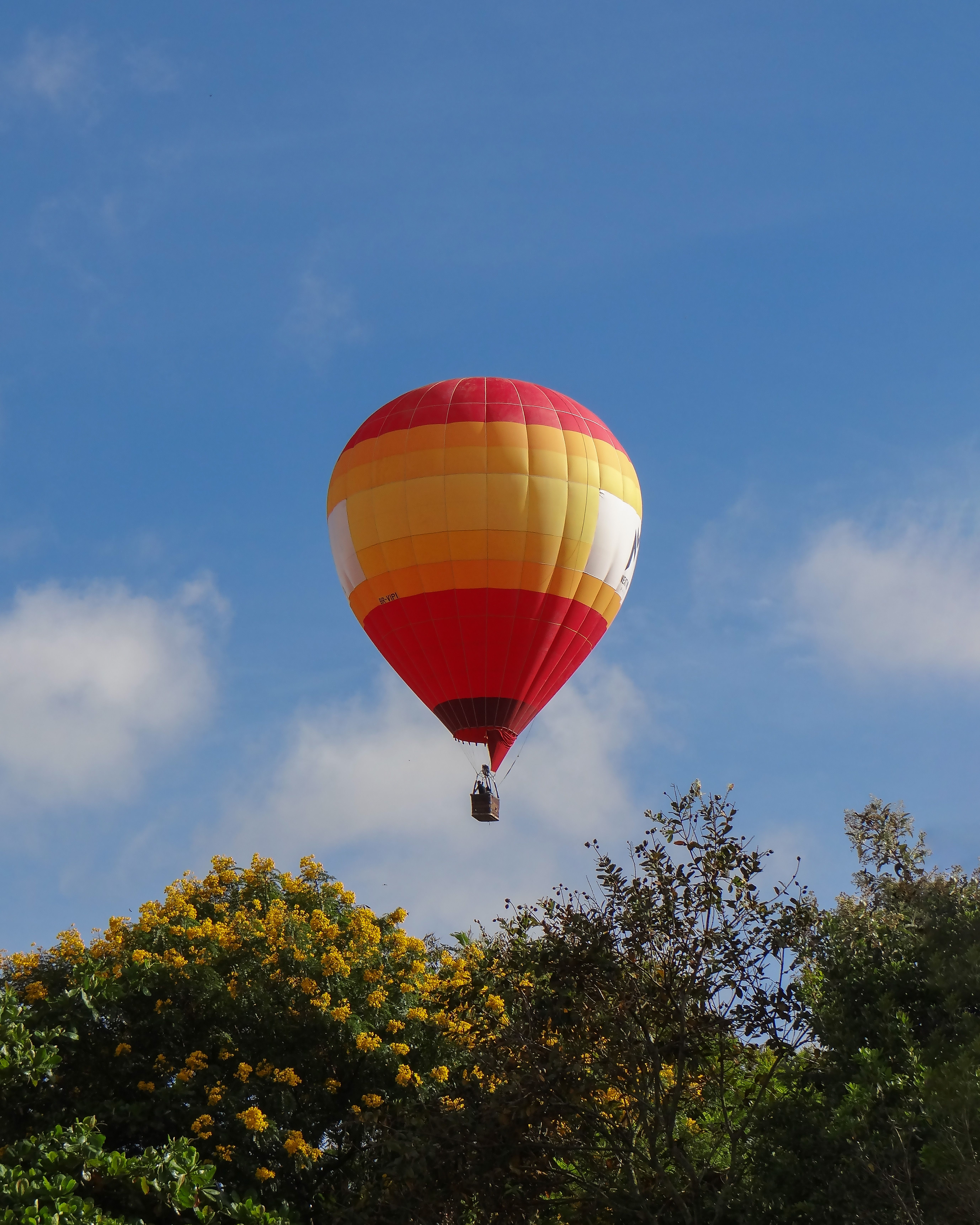 Hot Air Balloon Flying over Trees in Spring · Free Stock Photo