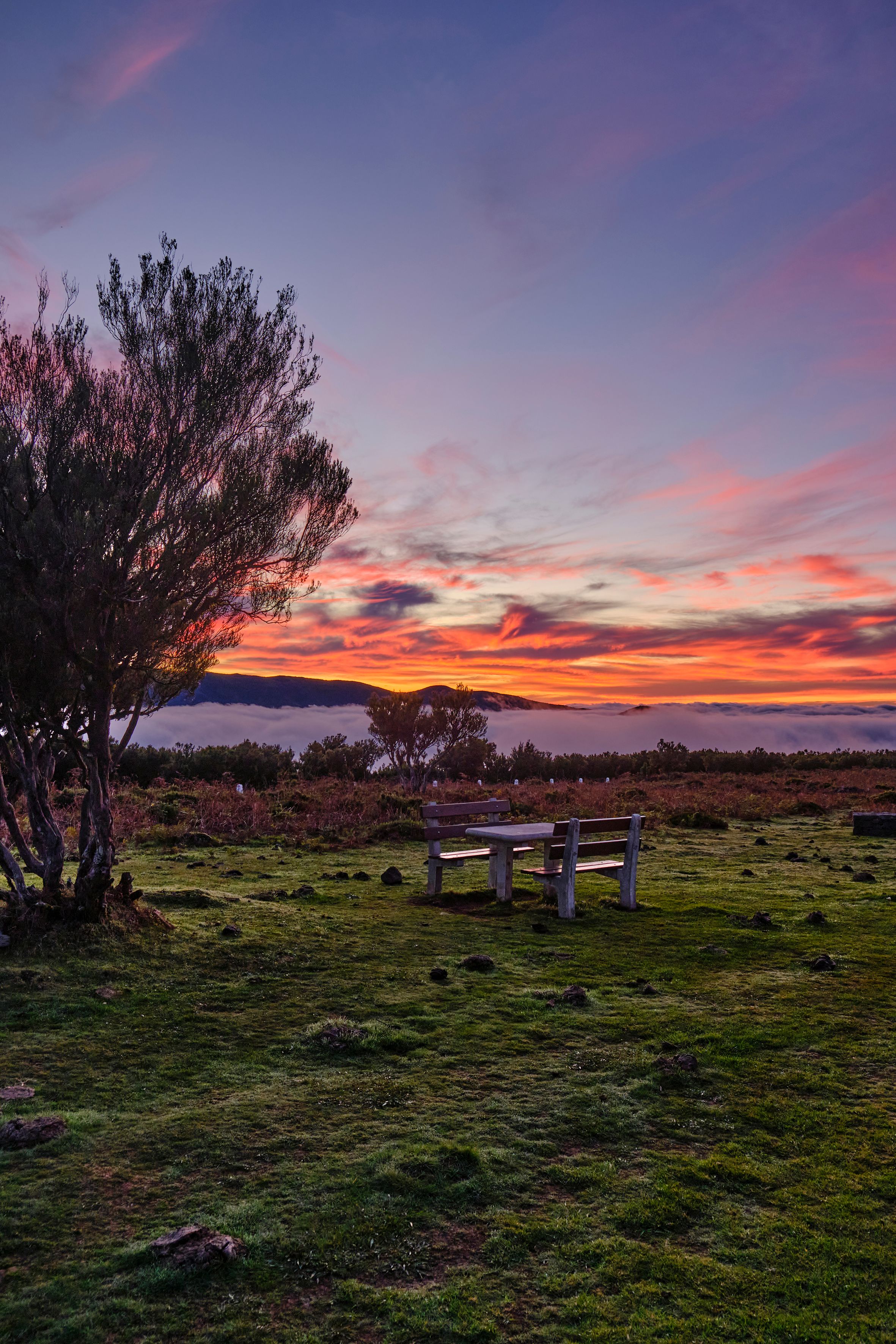 Bench in Countryside at Sunset · Free Stock Photo