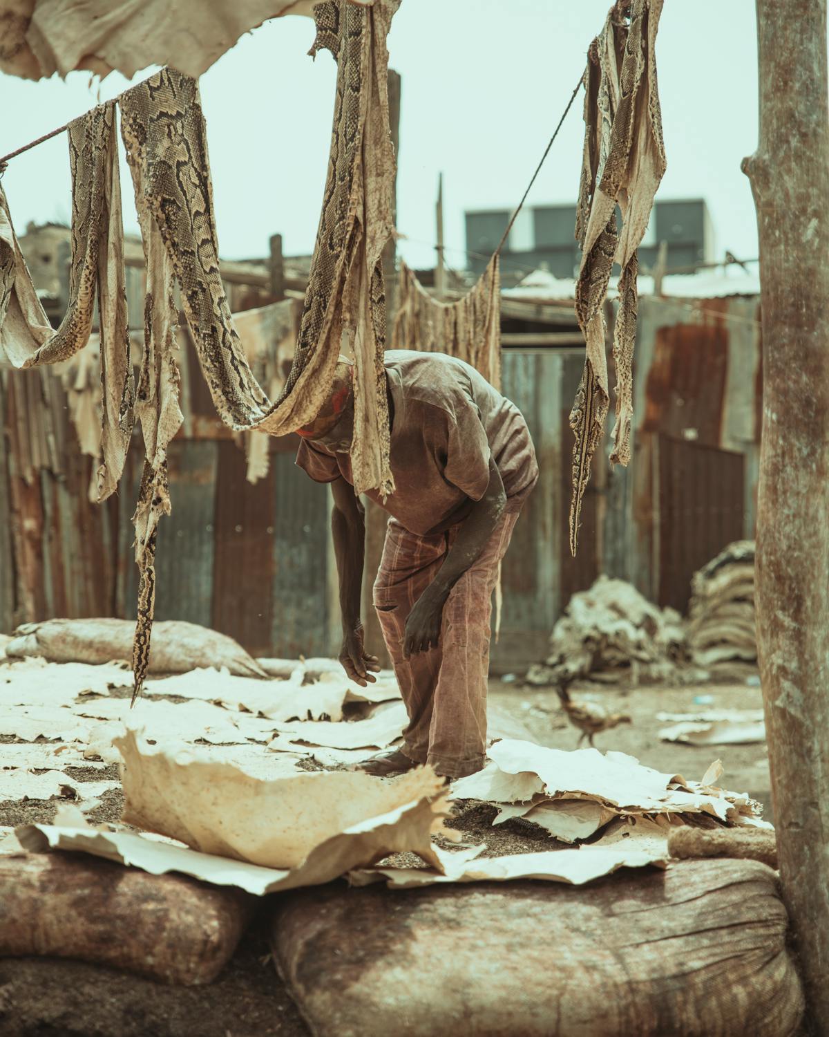 Rags Photos, Download The BEST Free Rags Stock Photos & HD Images