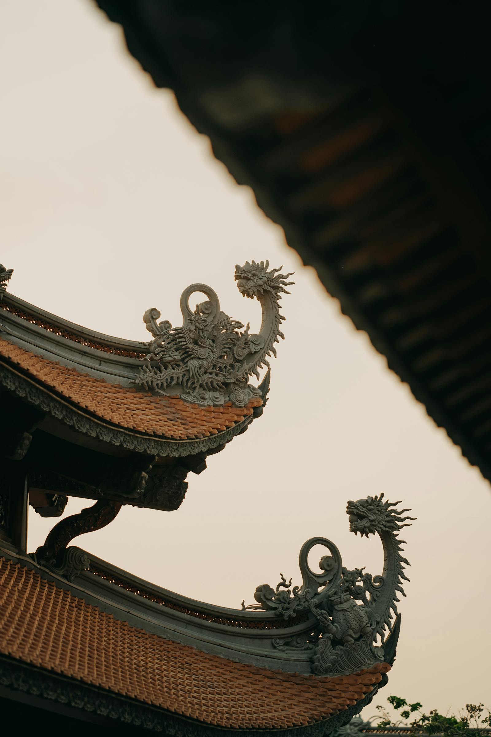 Harmony Of Dragons Photos, Download The BEST Free Harmony Of Dragons ...