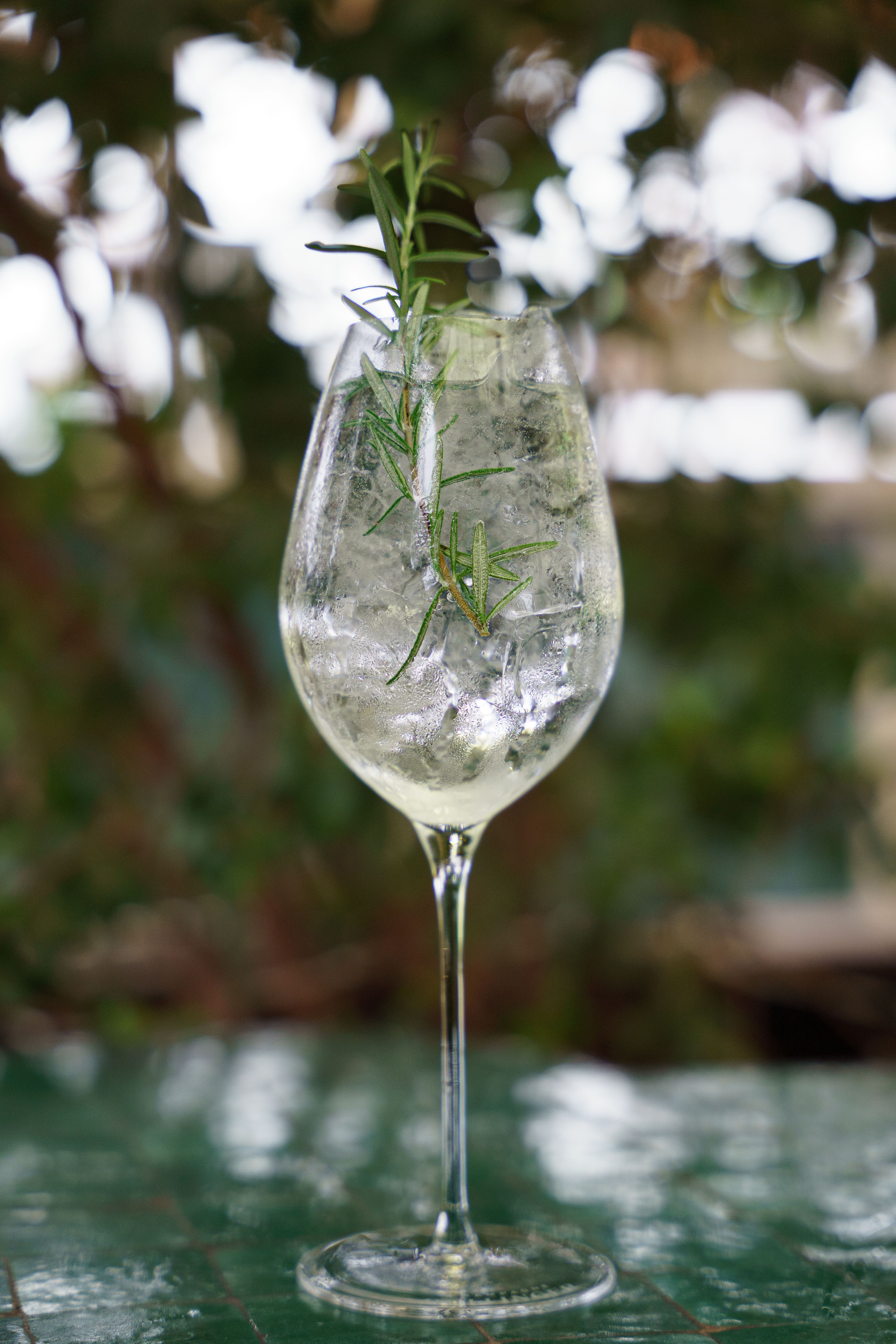 Nose Gin Photos, Download The BEST Free Nose Gin Stock Photos & HD Images