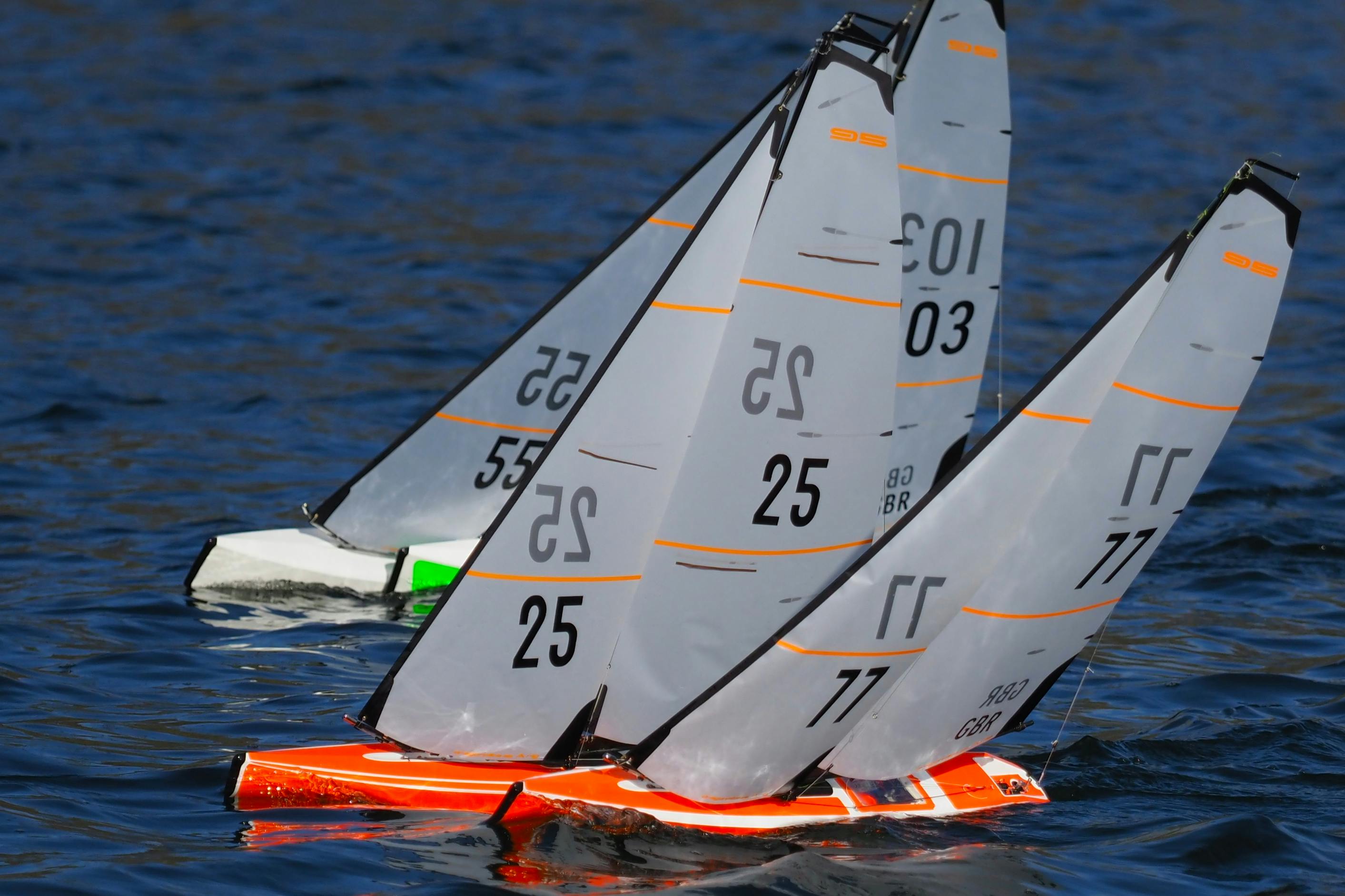 Sailboards Docked on Water · Free Stock Photo