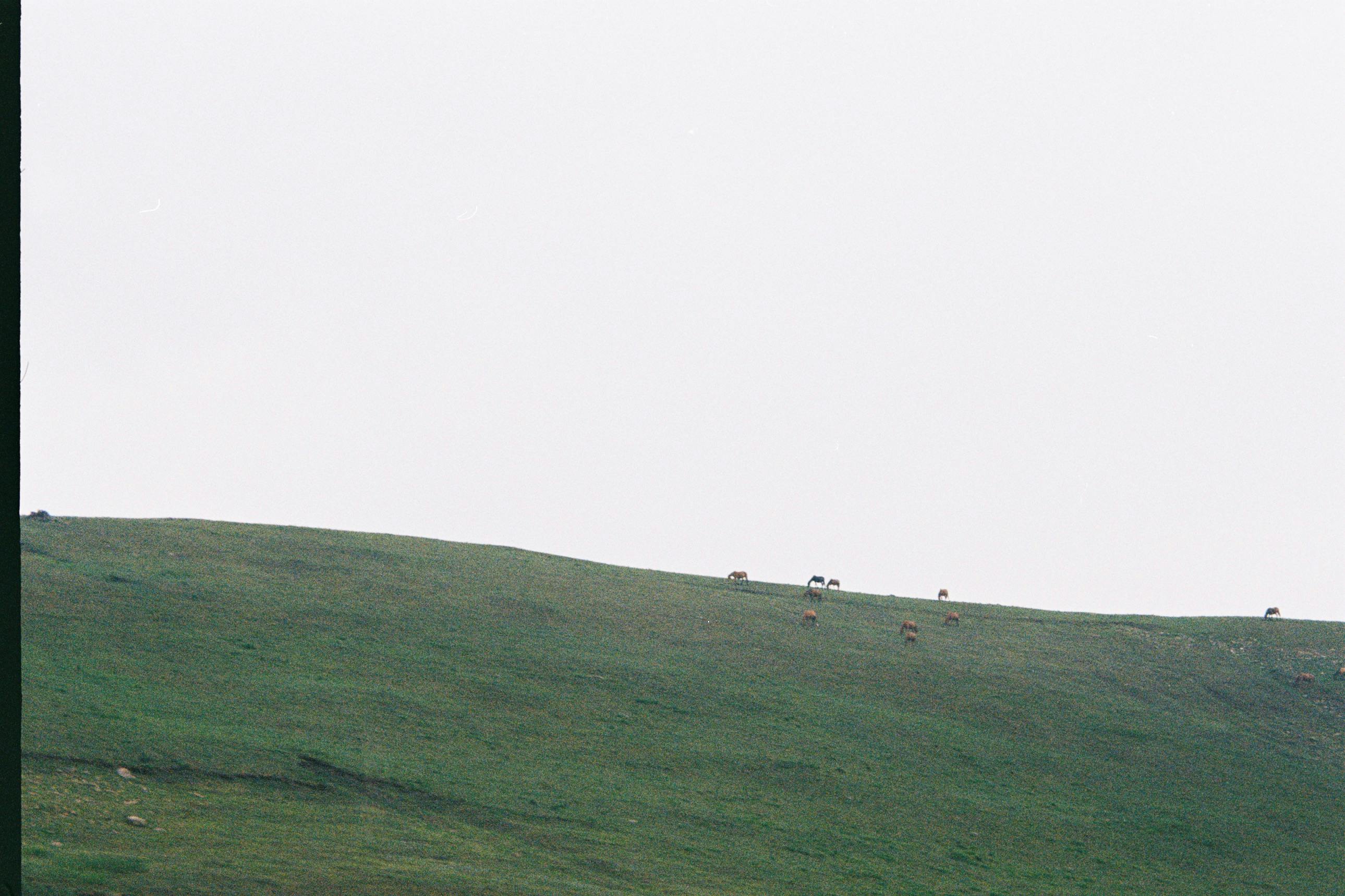 yating yang - 摄影