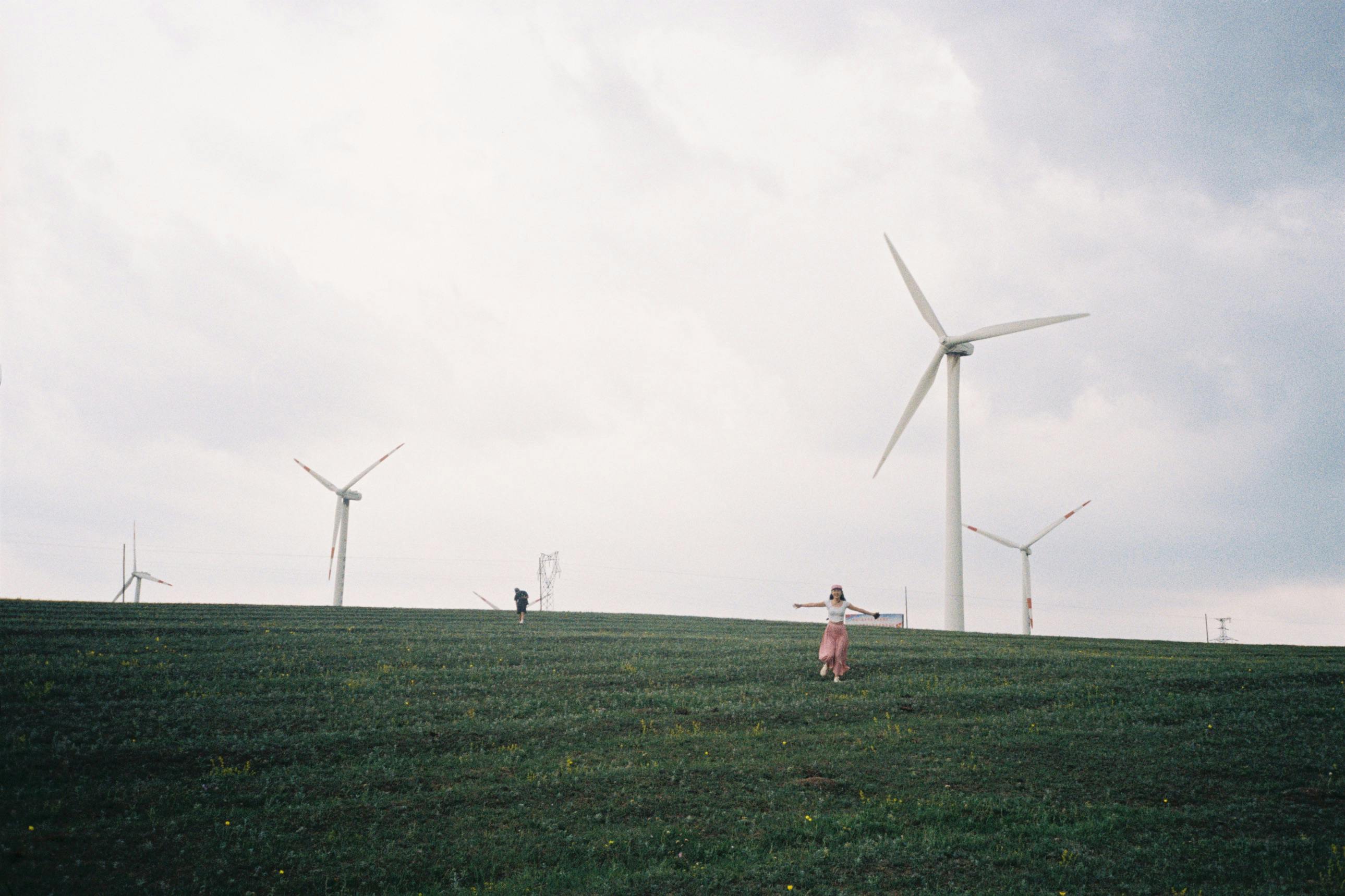 yating yang - 摄影