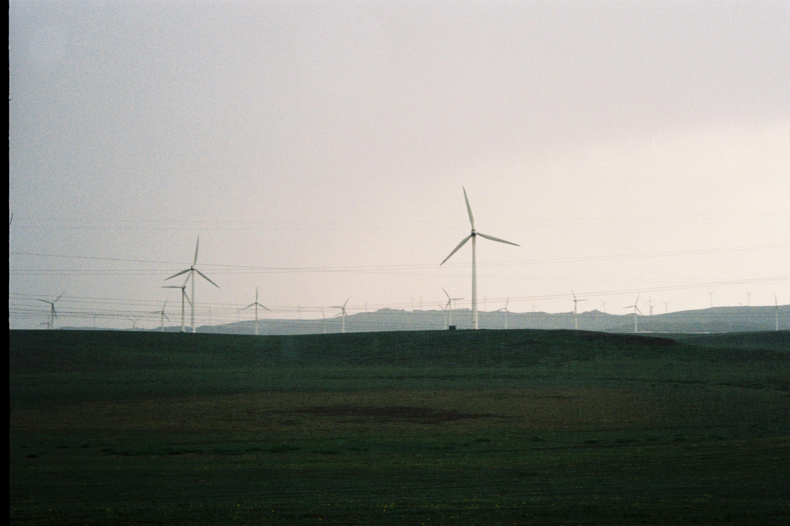 yating yang - 摄影