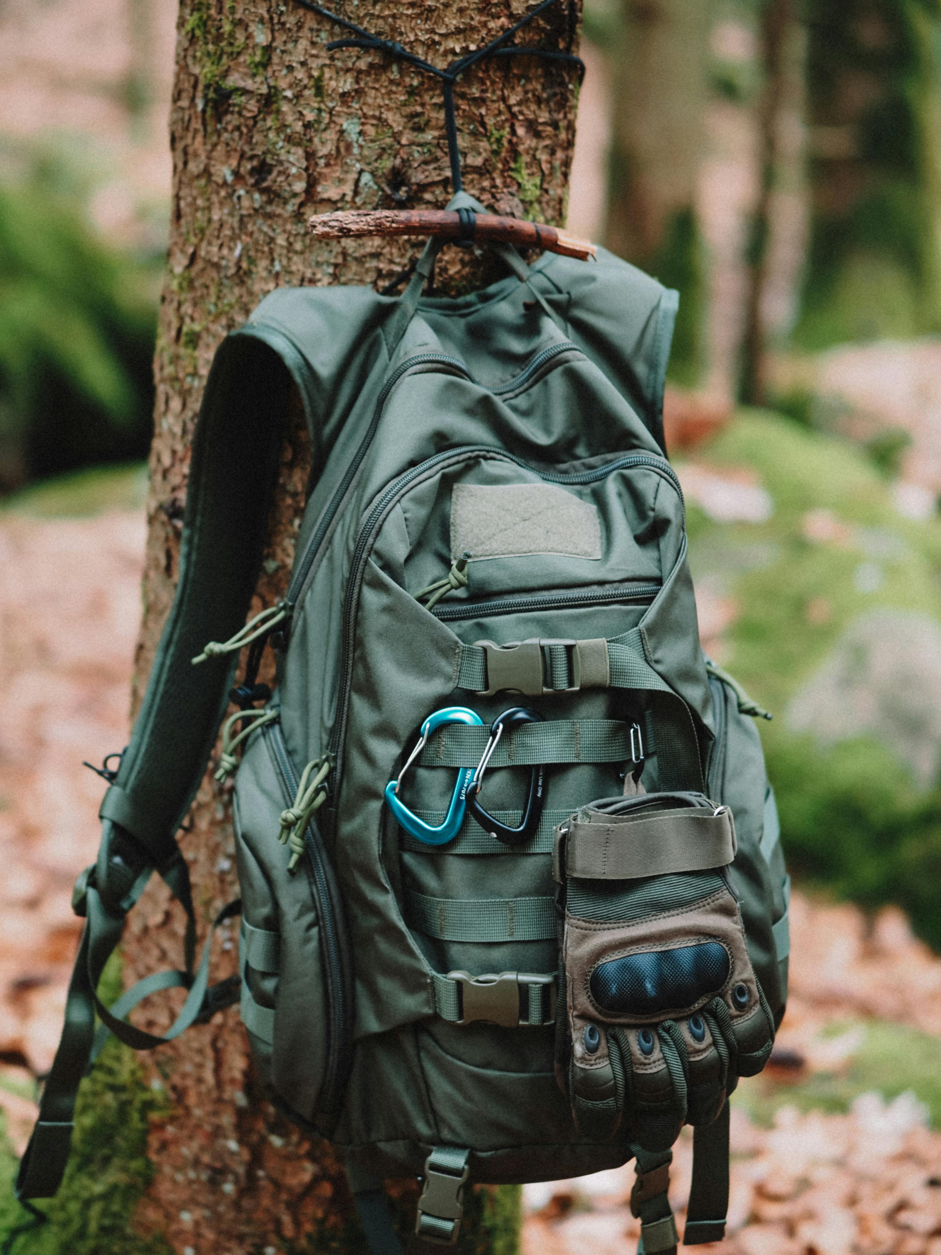 Backpack Hanging on a Tree · Free Stock Photo