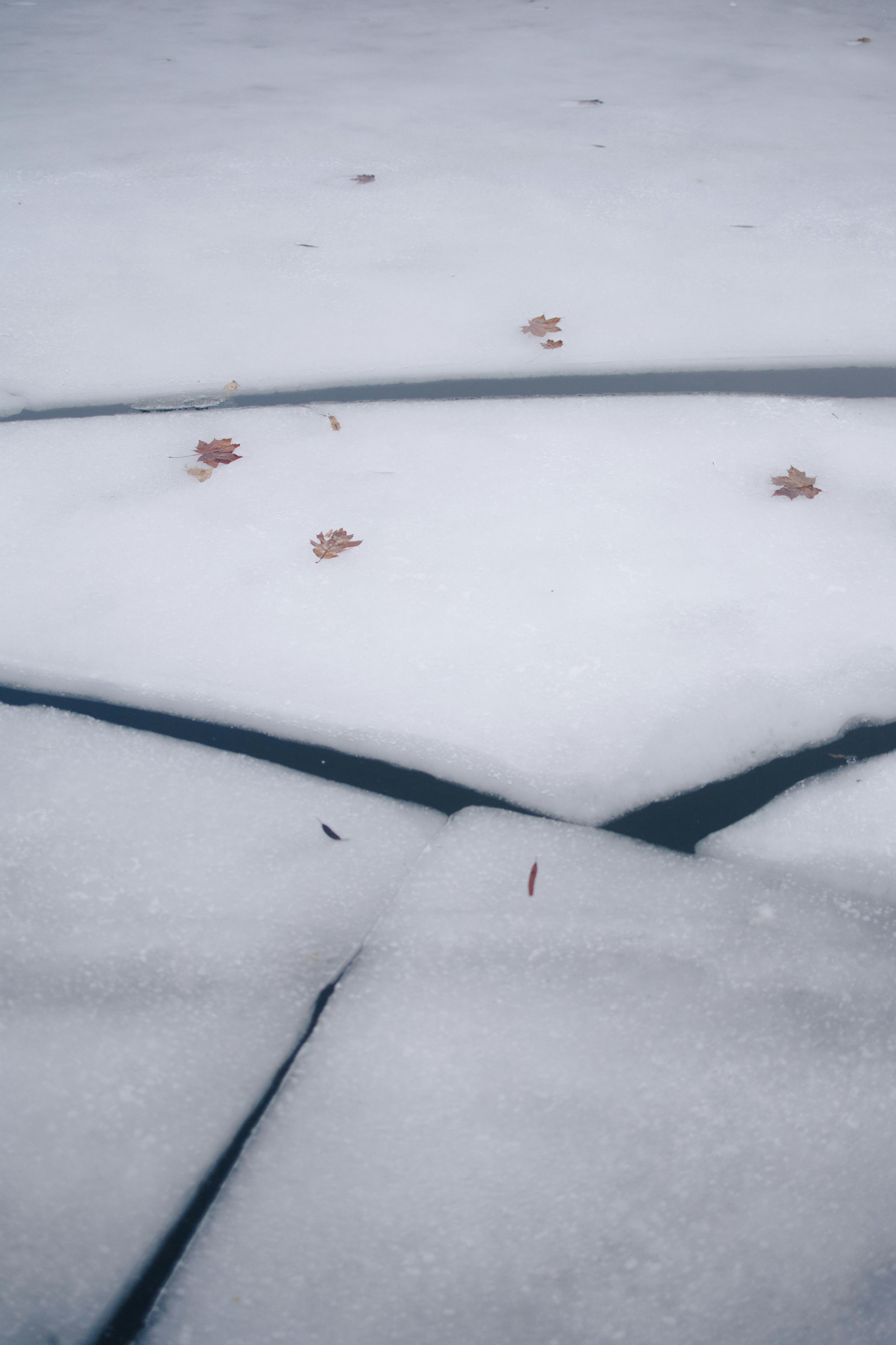 View of Large Ice Sheets Floating in a Body of Water · Free Stock Photo