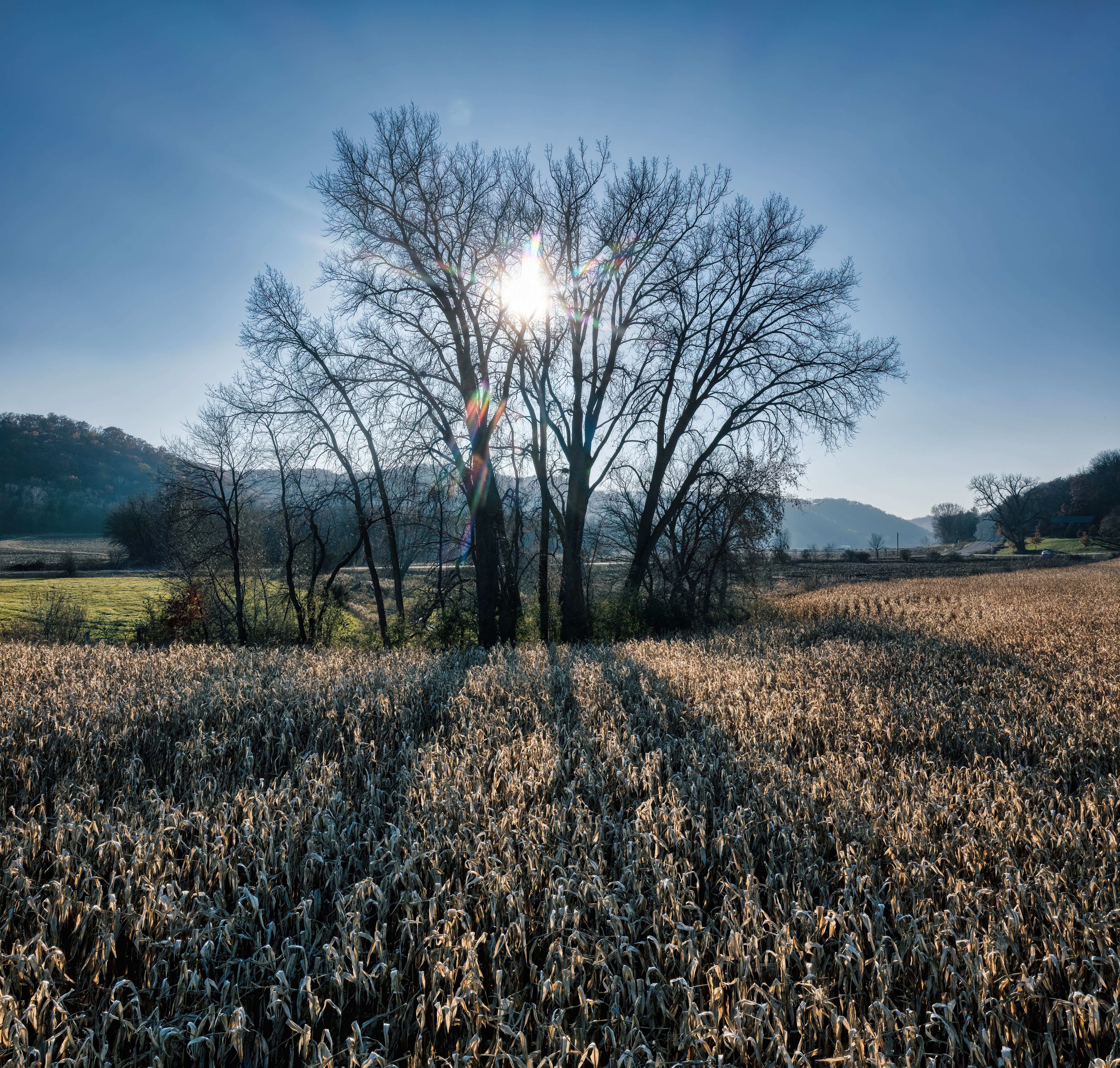 Sunset Sunlight over Bare Trees in Countryside · Free Stock Photo