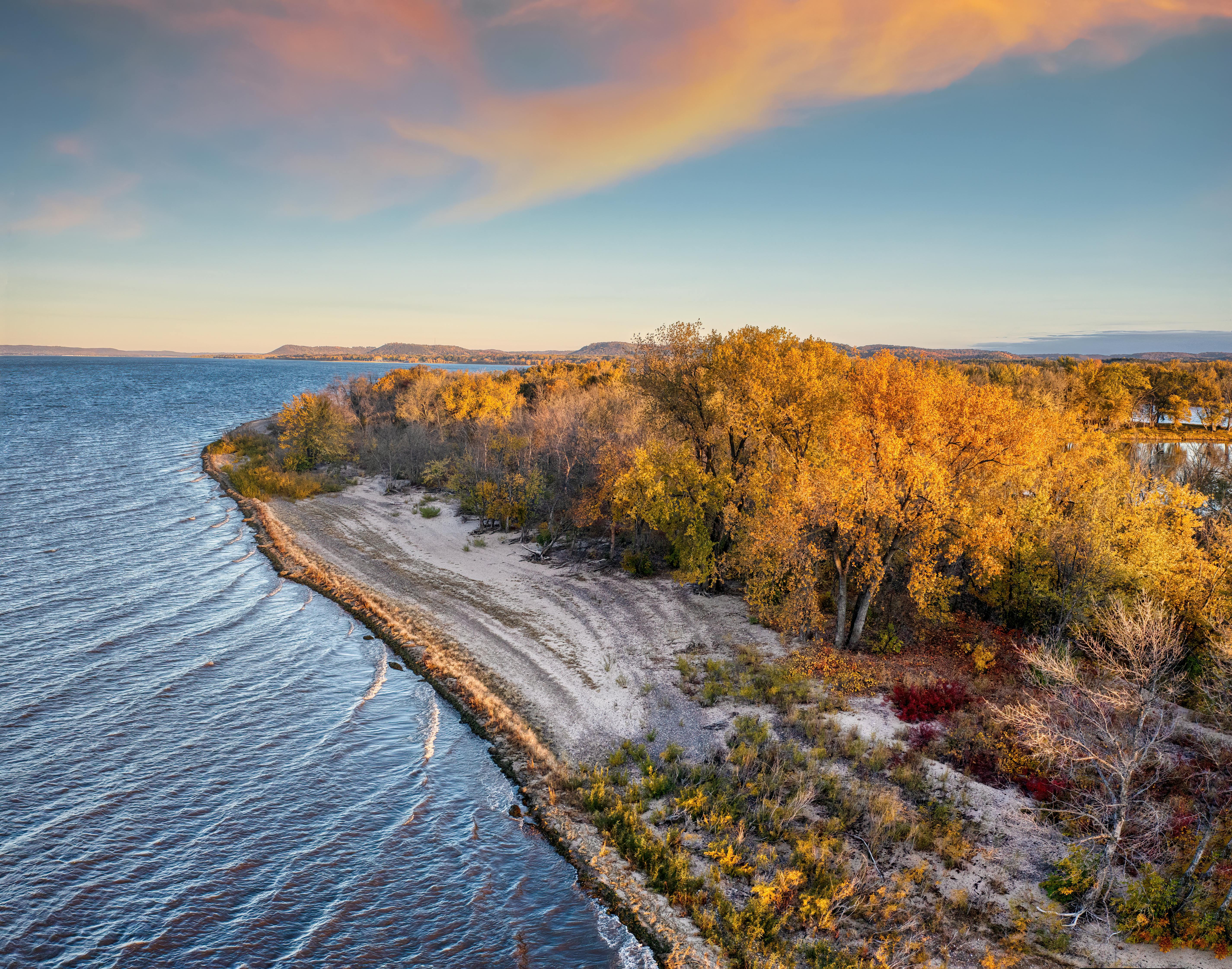 Autumn Forest on Sea Coast · Free Stock Photo