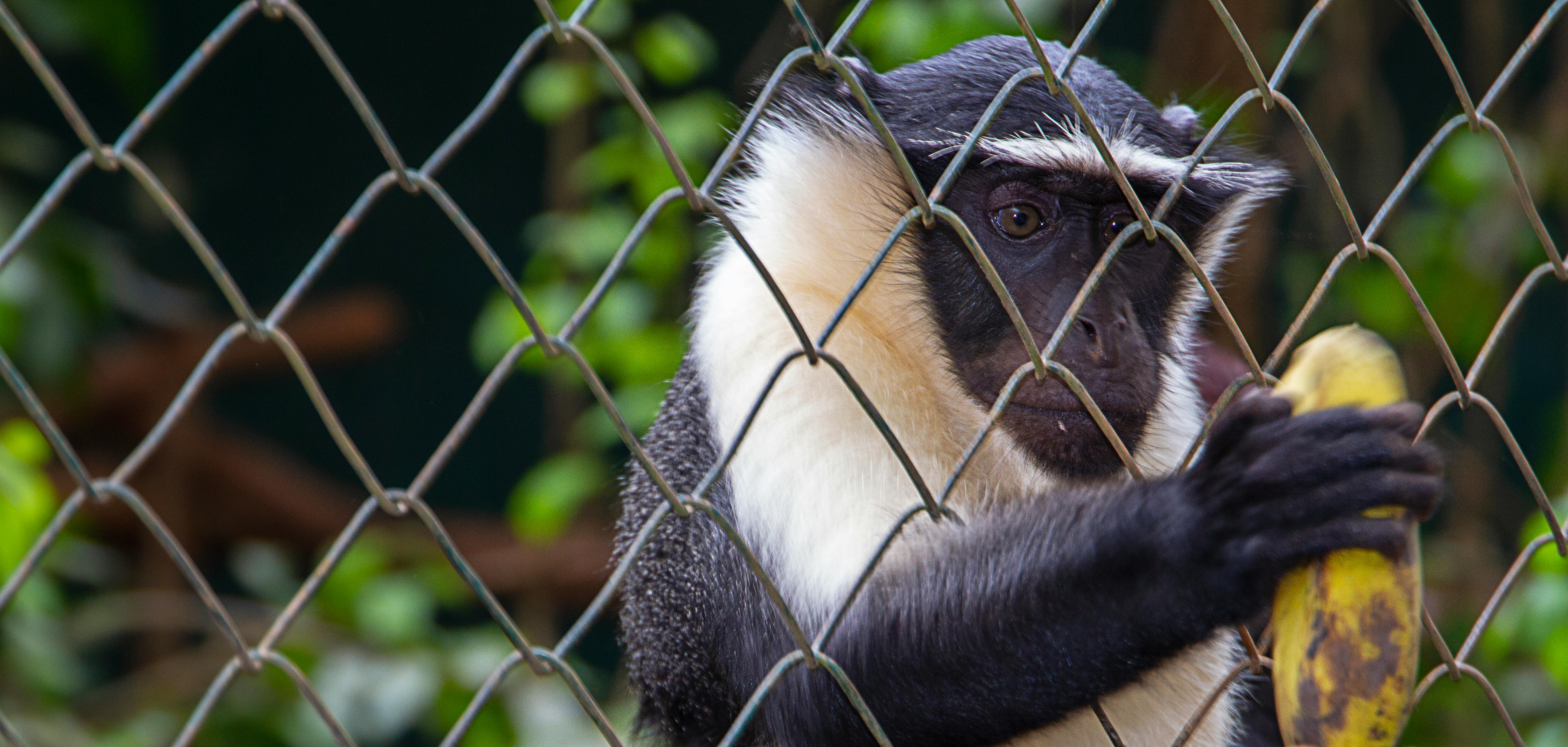 Samuel Boateng - Photography