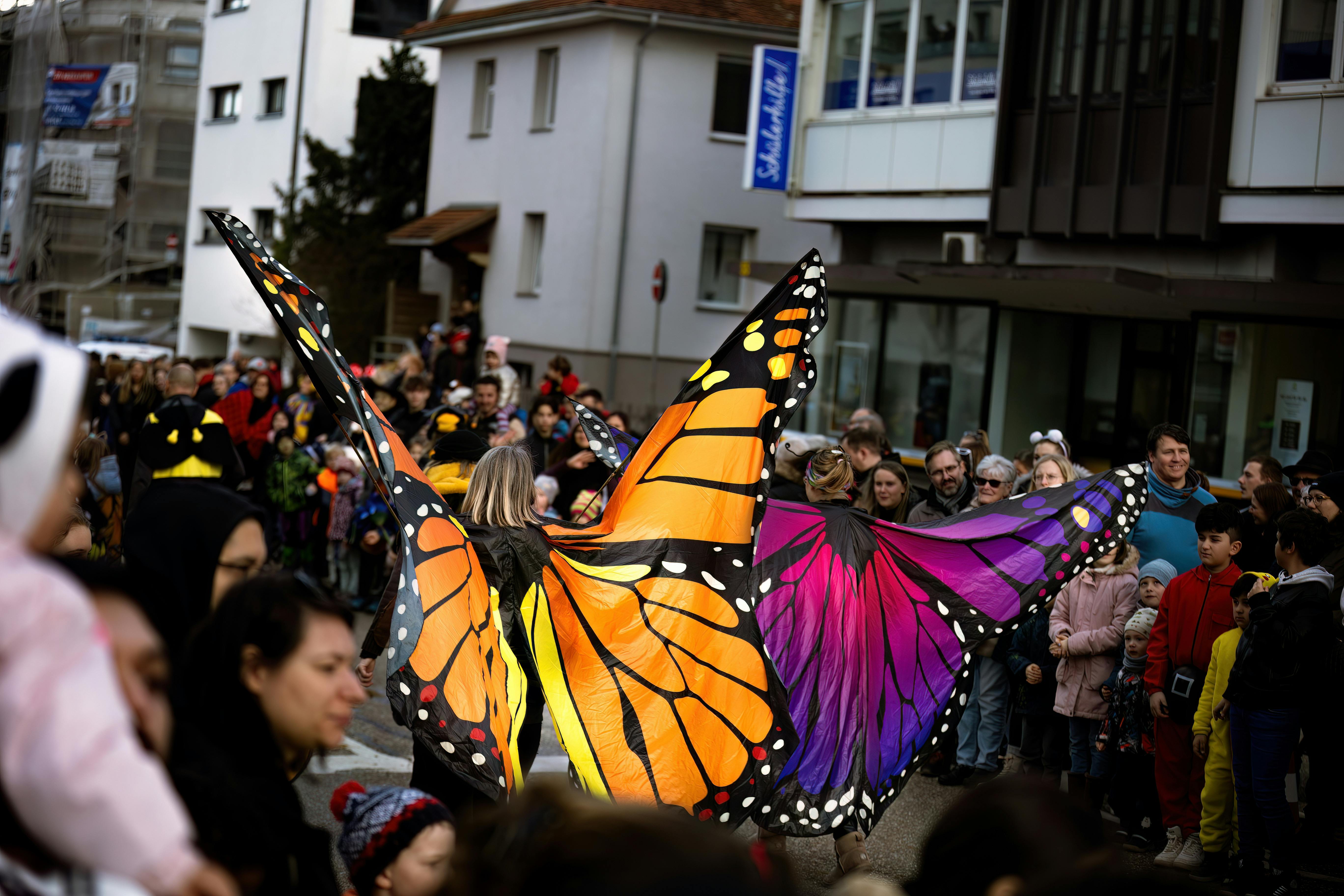 Women in Butterflies Costumes Walking in Parade · Free Stock Photo