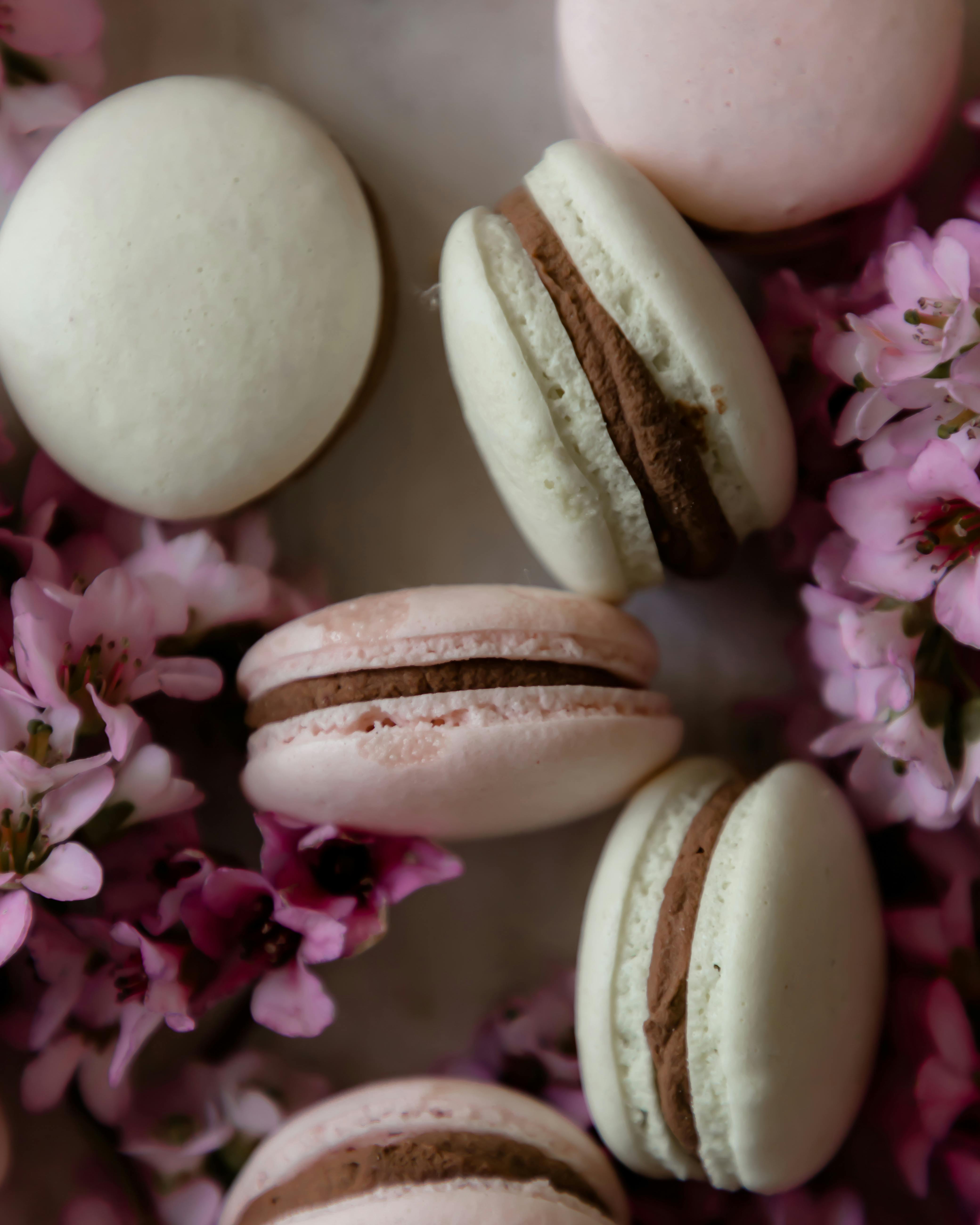 French Cookies Photos, Download The BEST Free French Cookies Stock ...