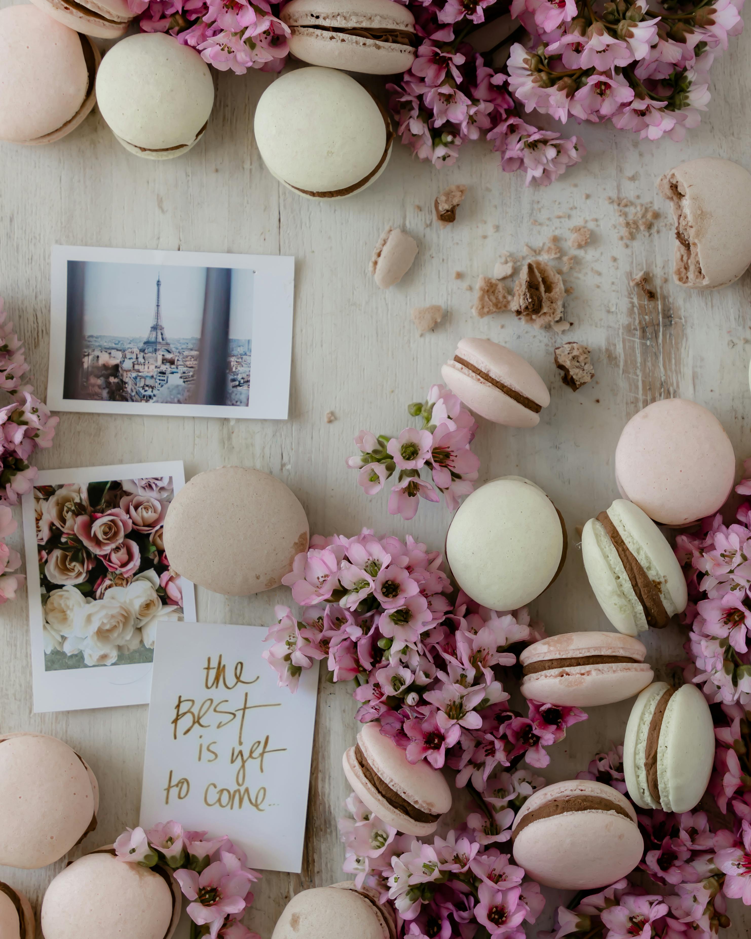 Free Pictures · Photos, Download The BEST Free Free Pictures · Stock ...