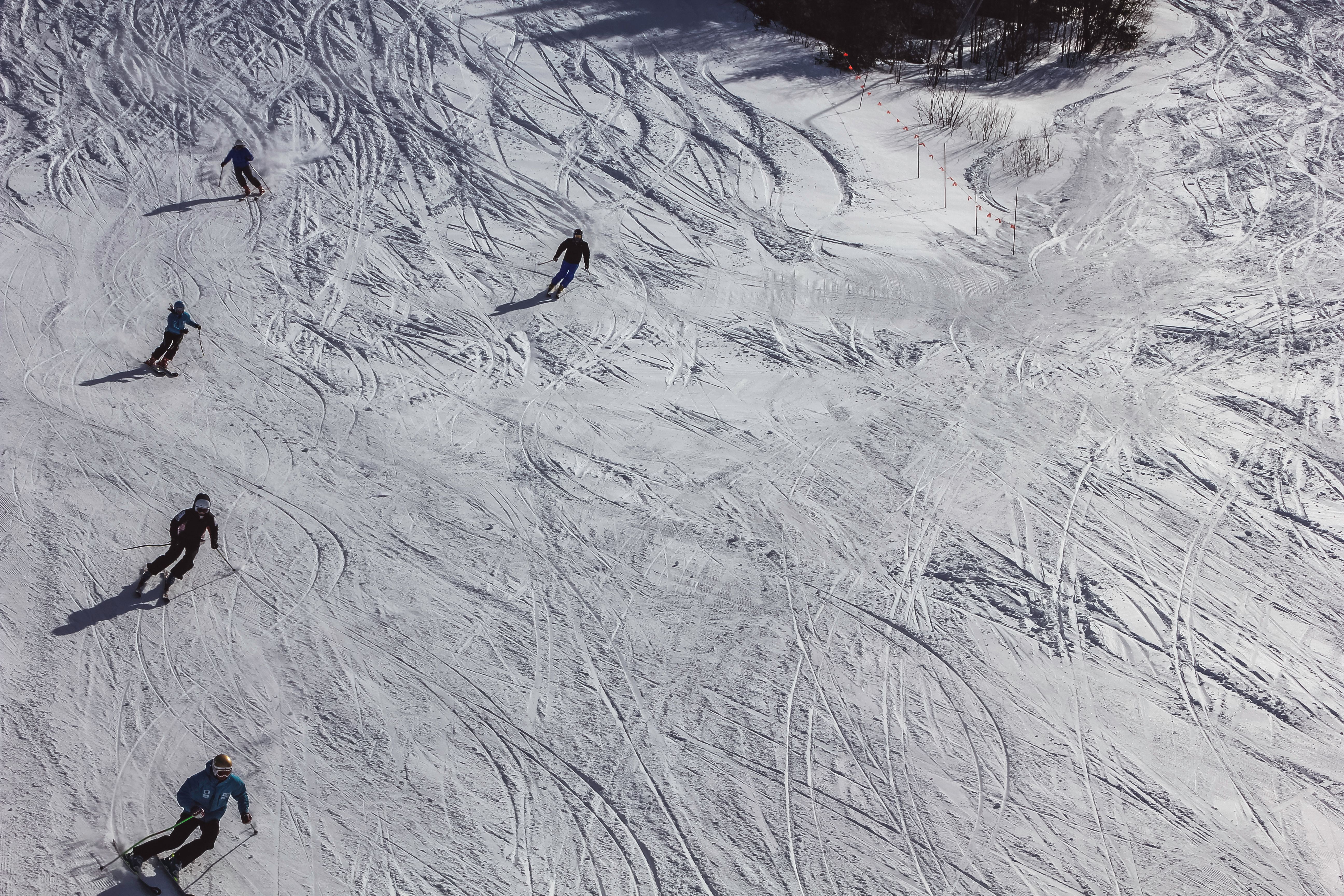 People Skiing in Snow · Free Stock Photo