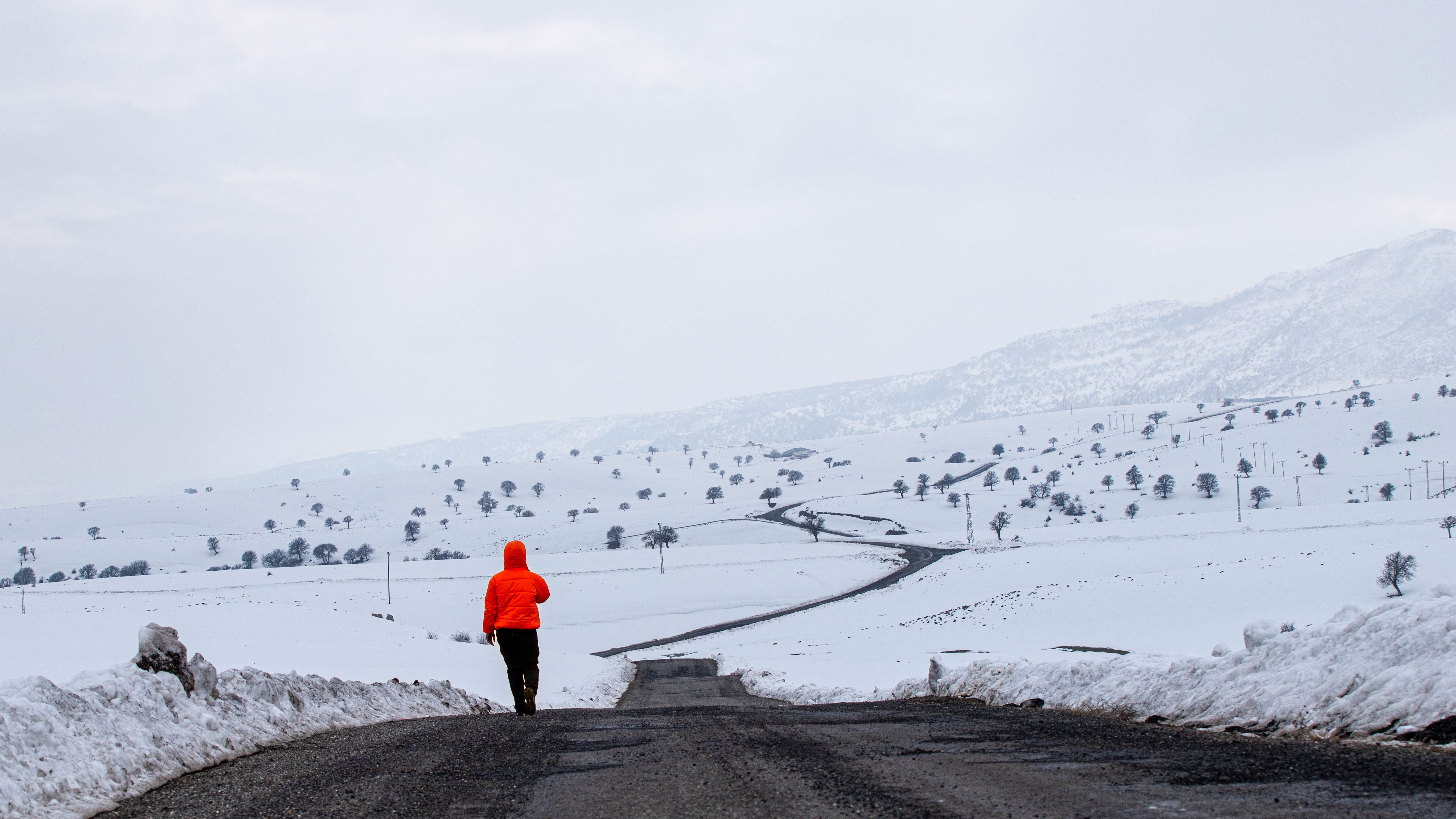Person in Red Jacket on Road in Snow · Free Stock Photo