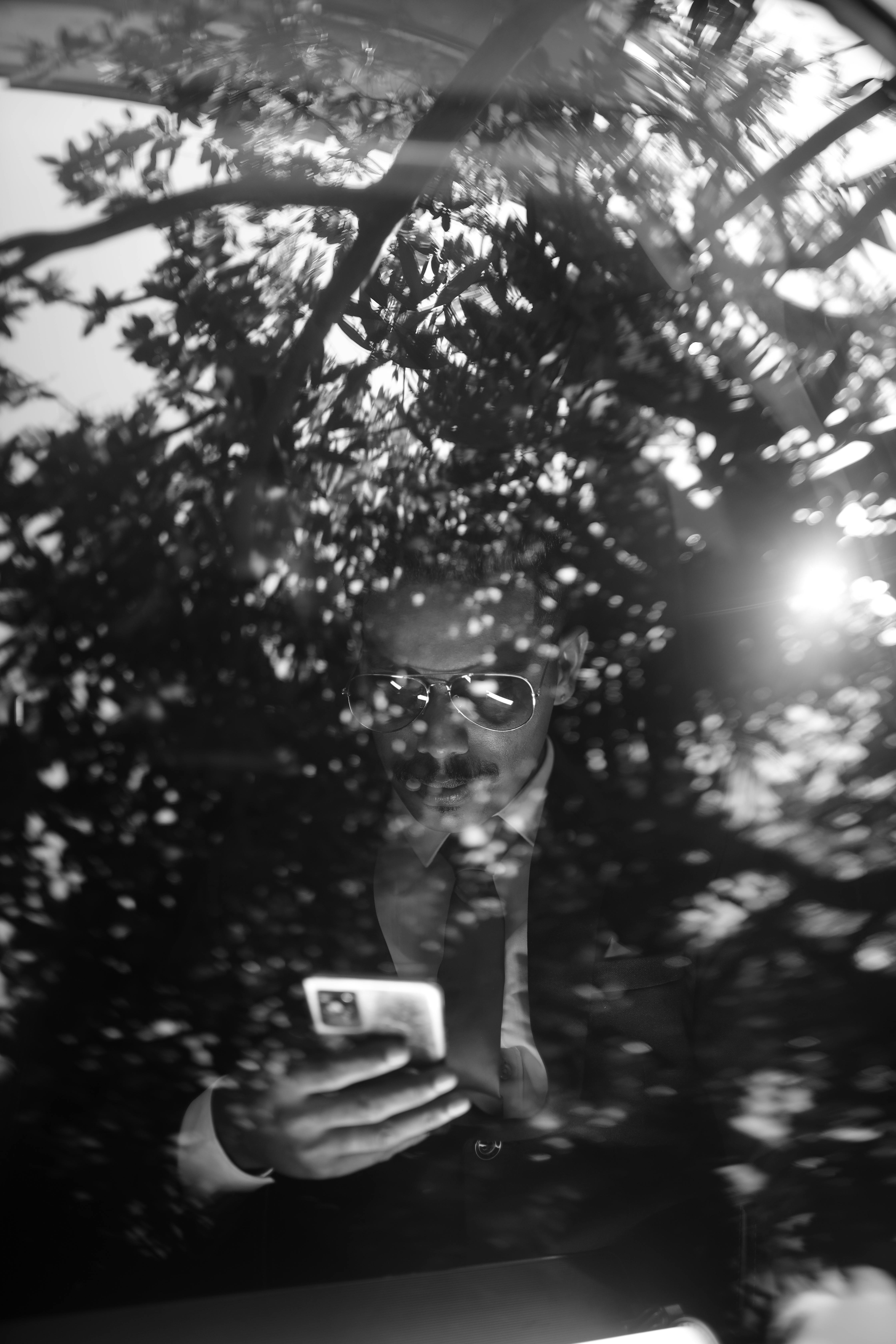 Tree and Man in Sunglasses in Window Reflection · Free Stock Photo