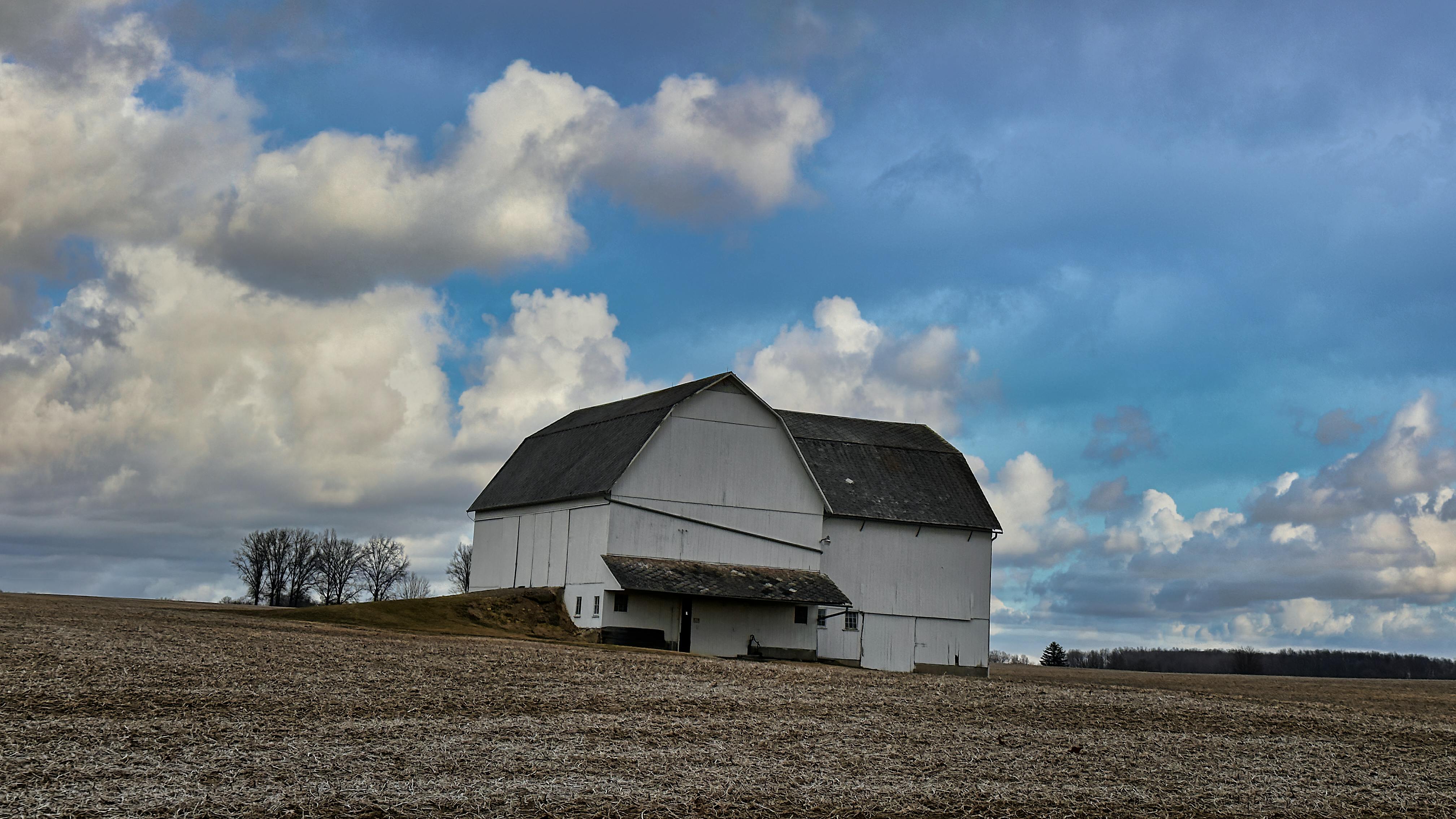 Leslie Saunders - Photography