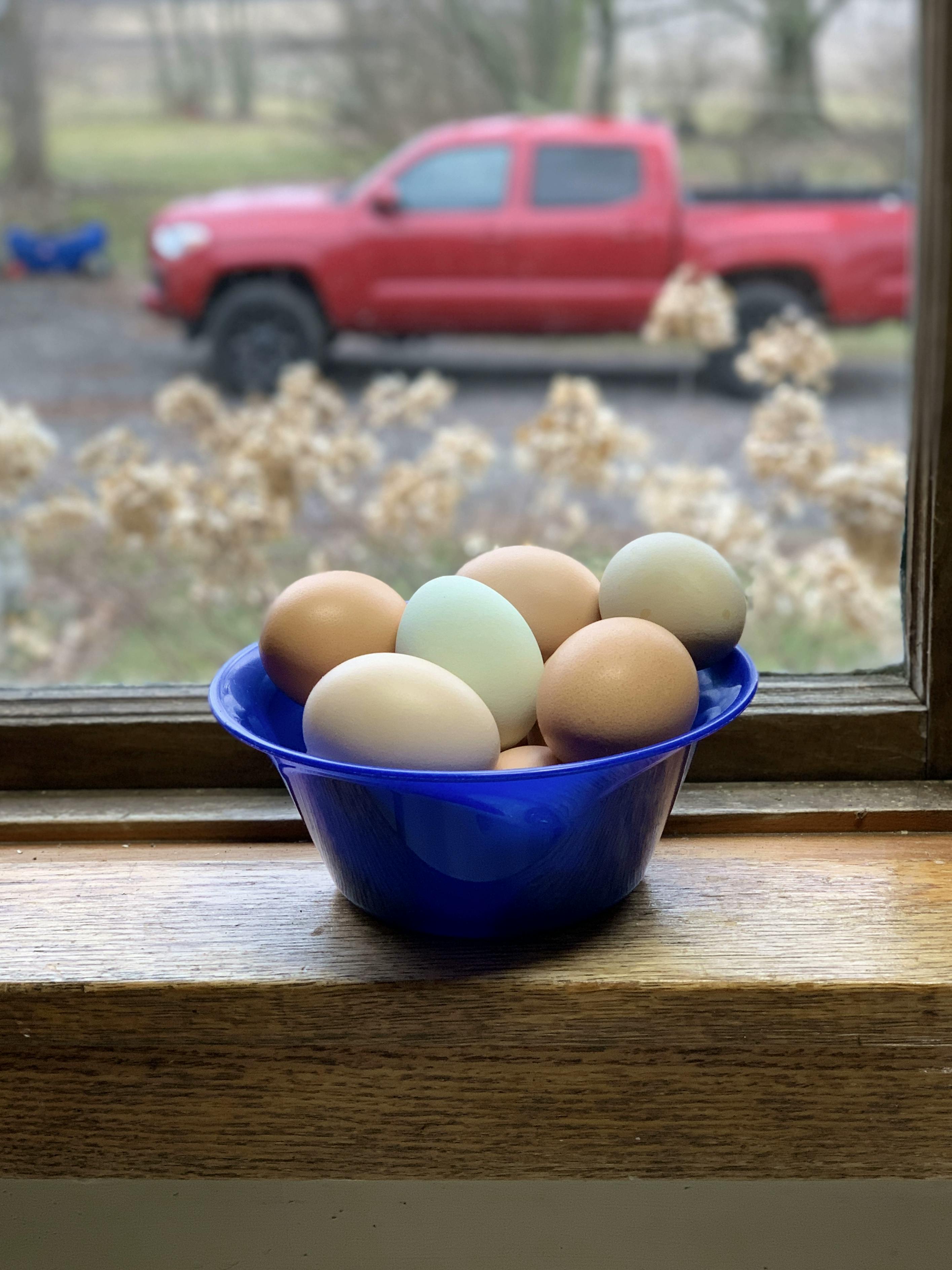 Leslie Saunders - Photography