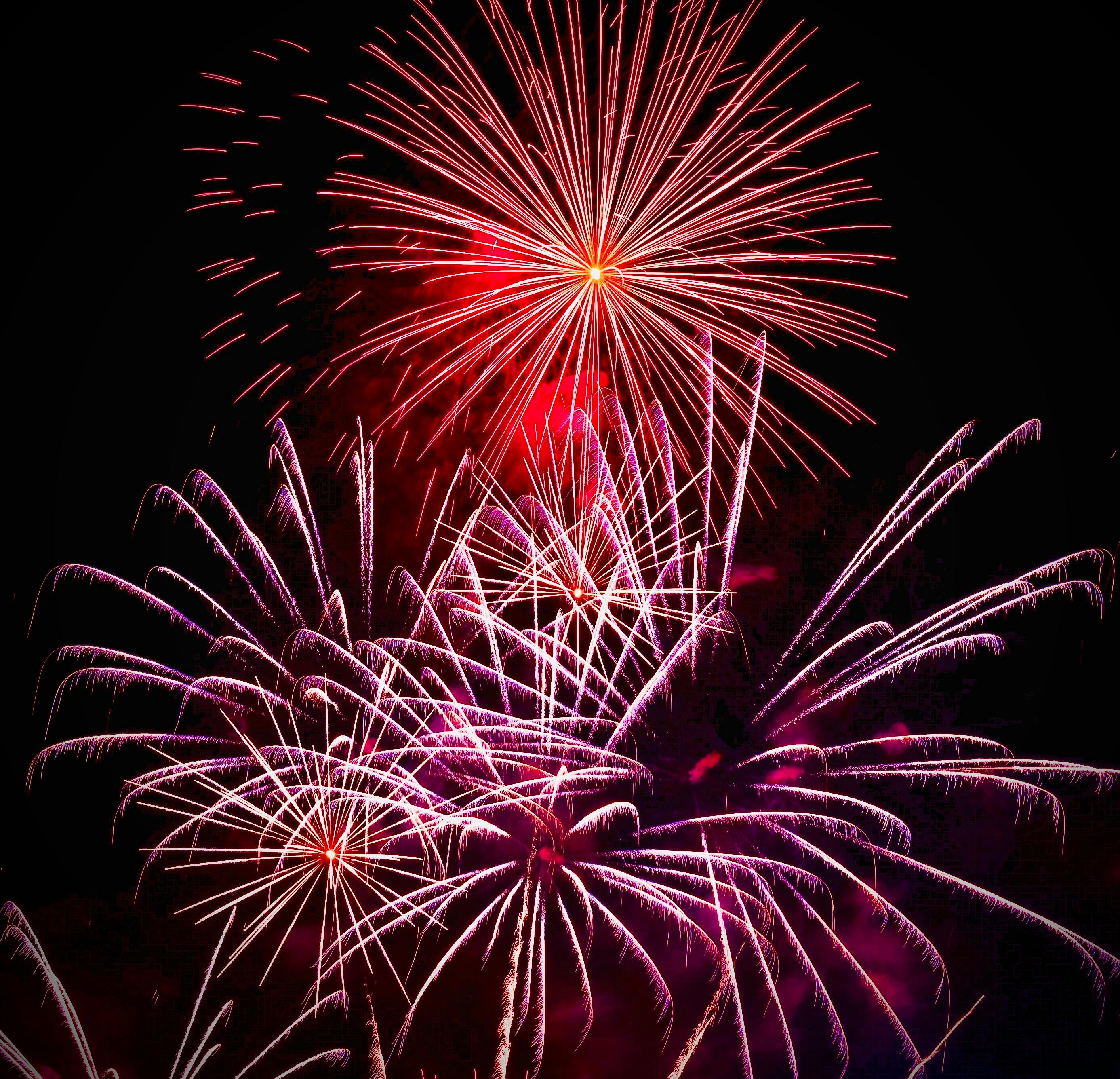 Fireworks on Sky at Night · Free Stock Photo