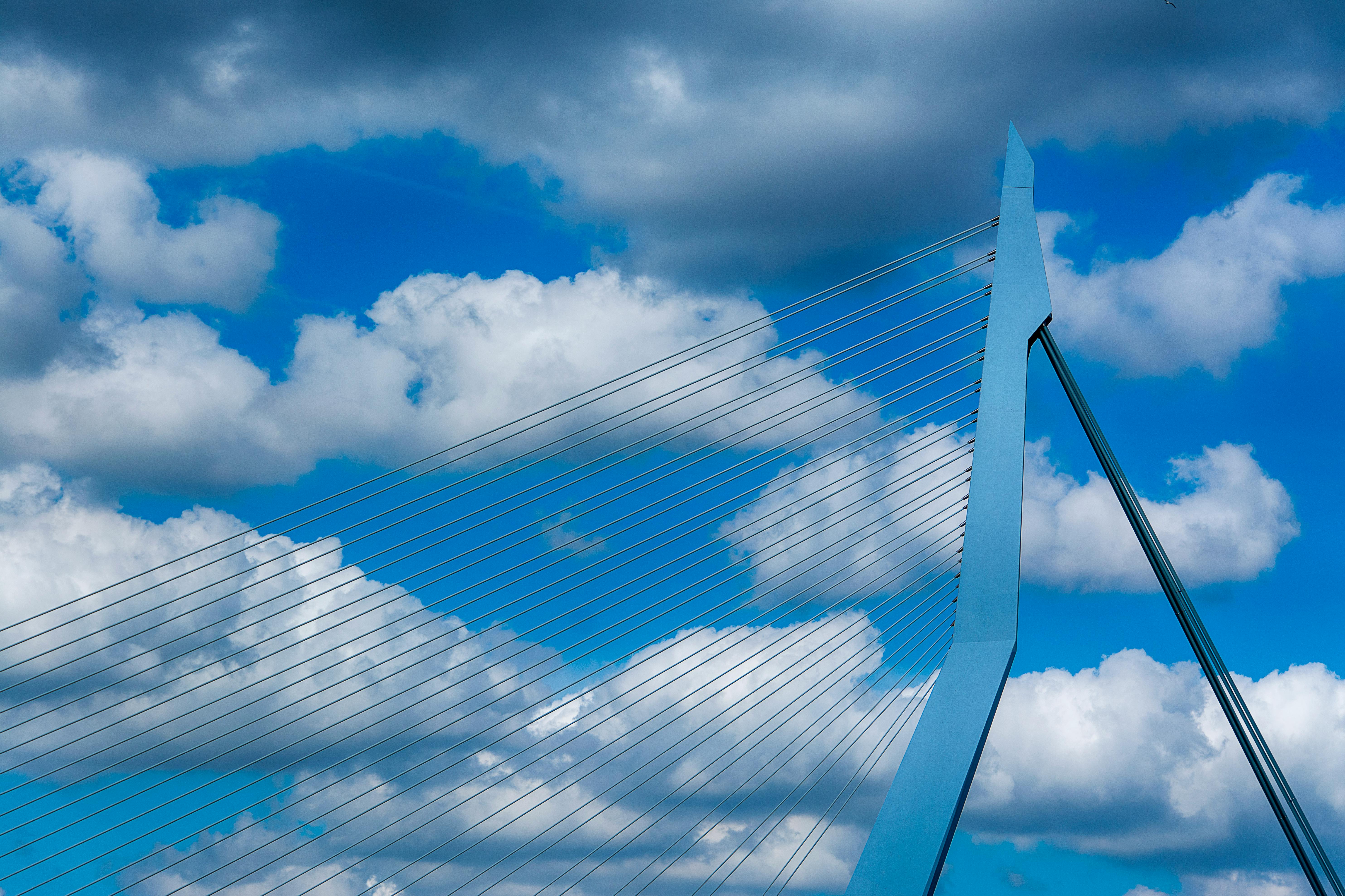 Erasmusbrug · Free Stock Photo