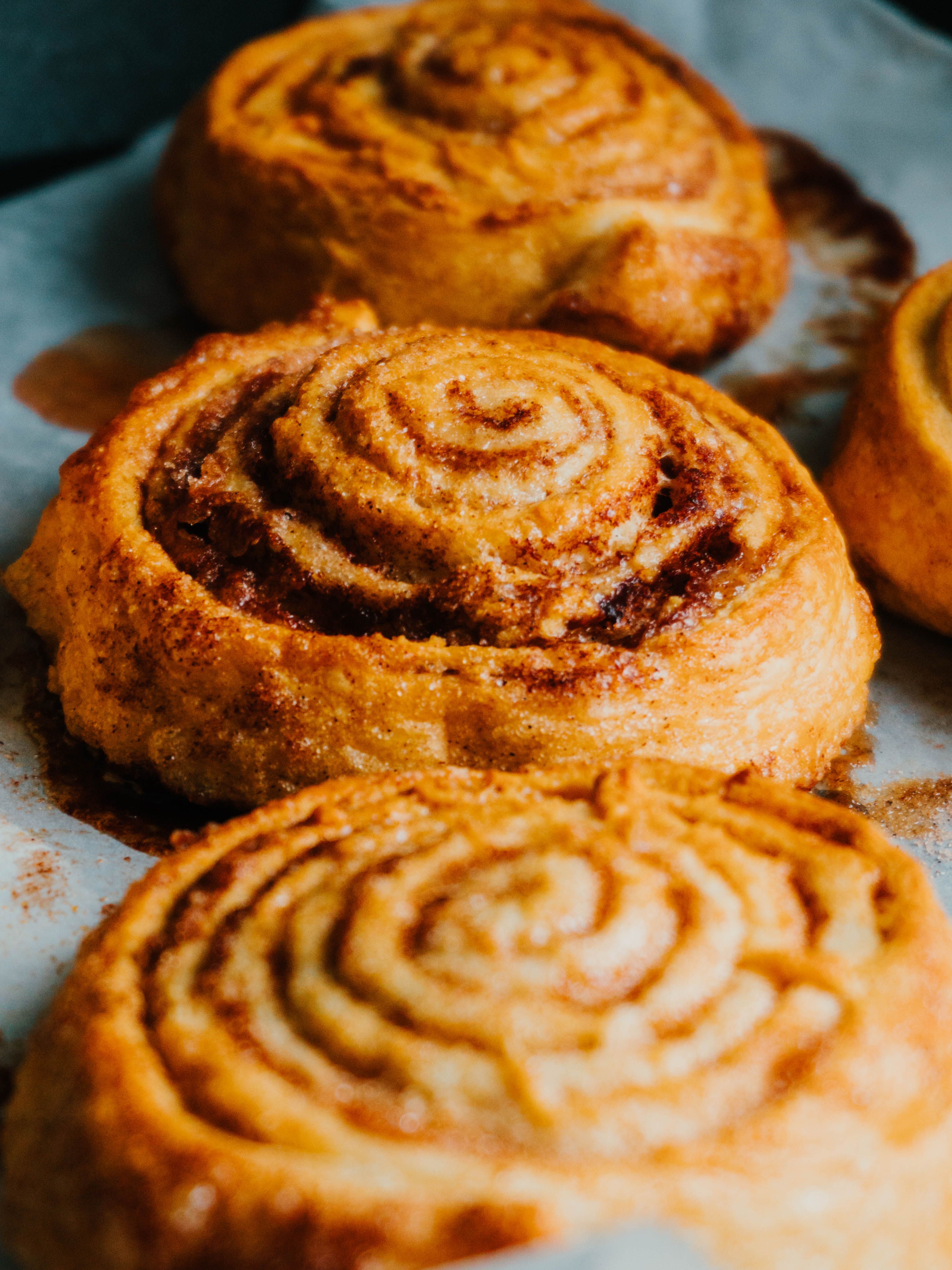Cinnamon roll · Free Stock Photo