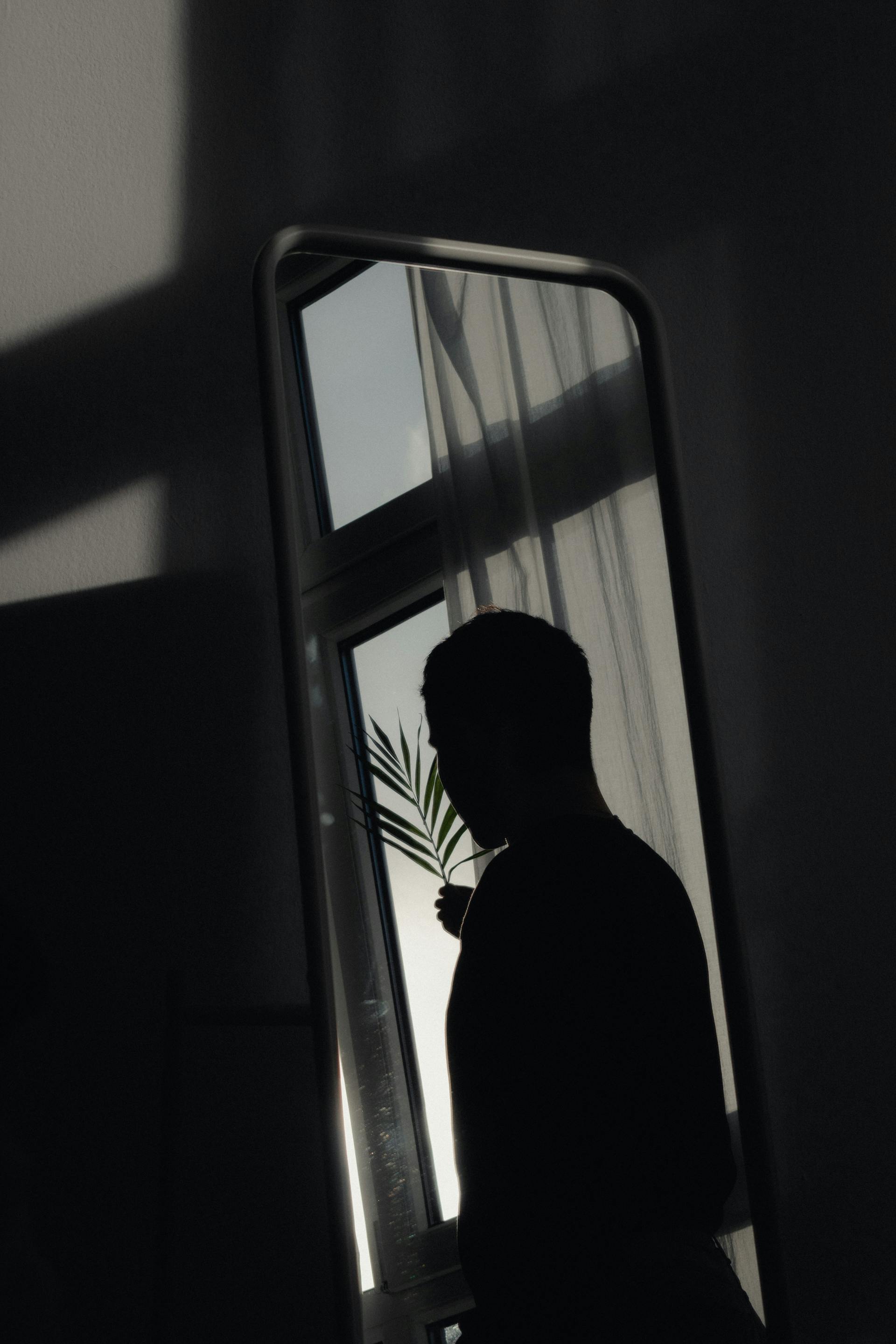Silhouette of Man in Mirror Reflection · Free Stock Photo