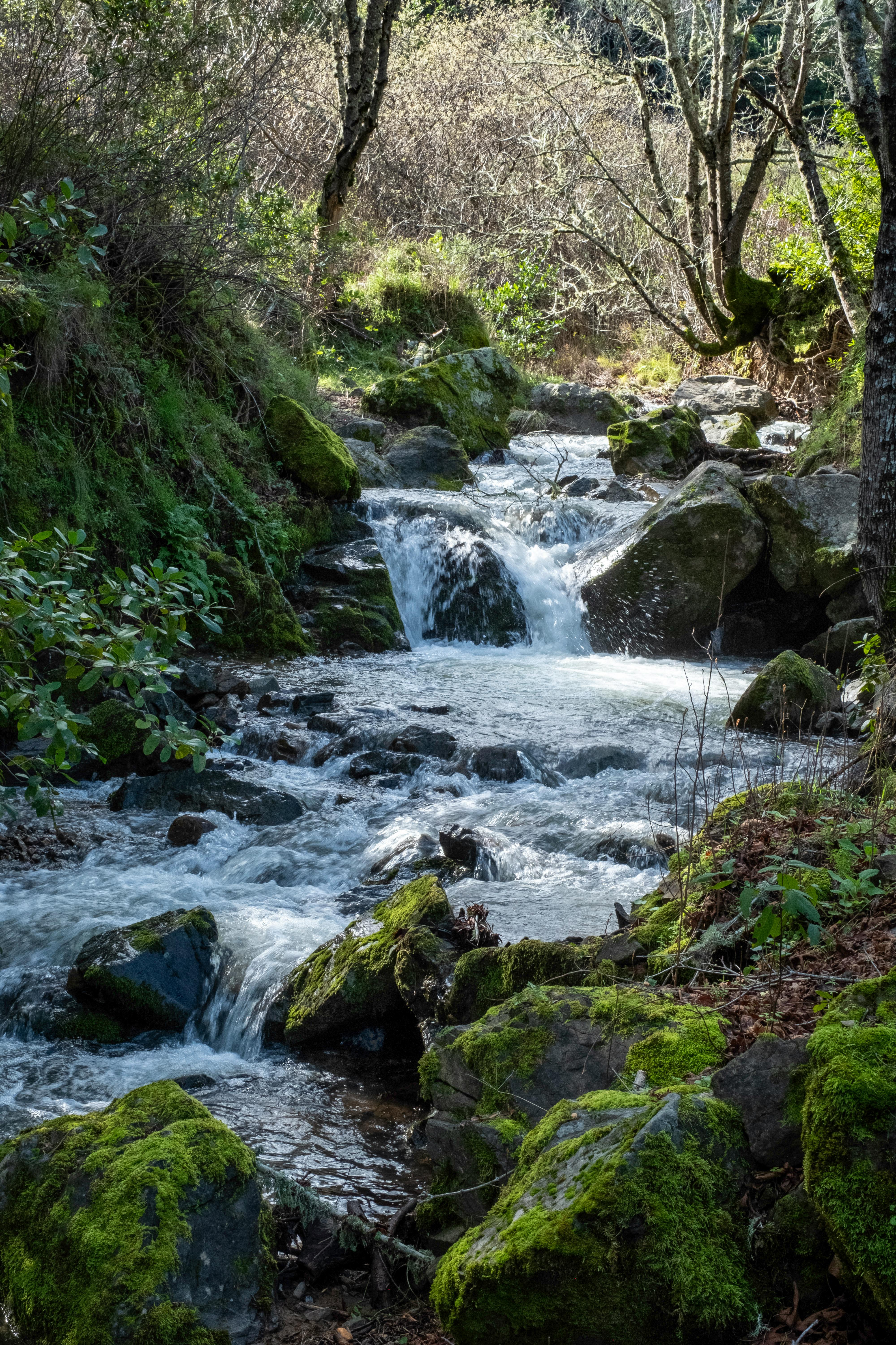 Water Falls during Day Time · Free Stock Photo