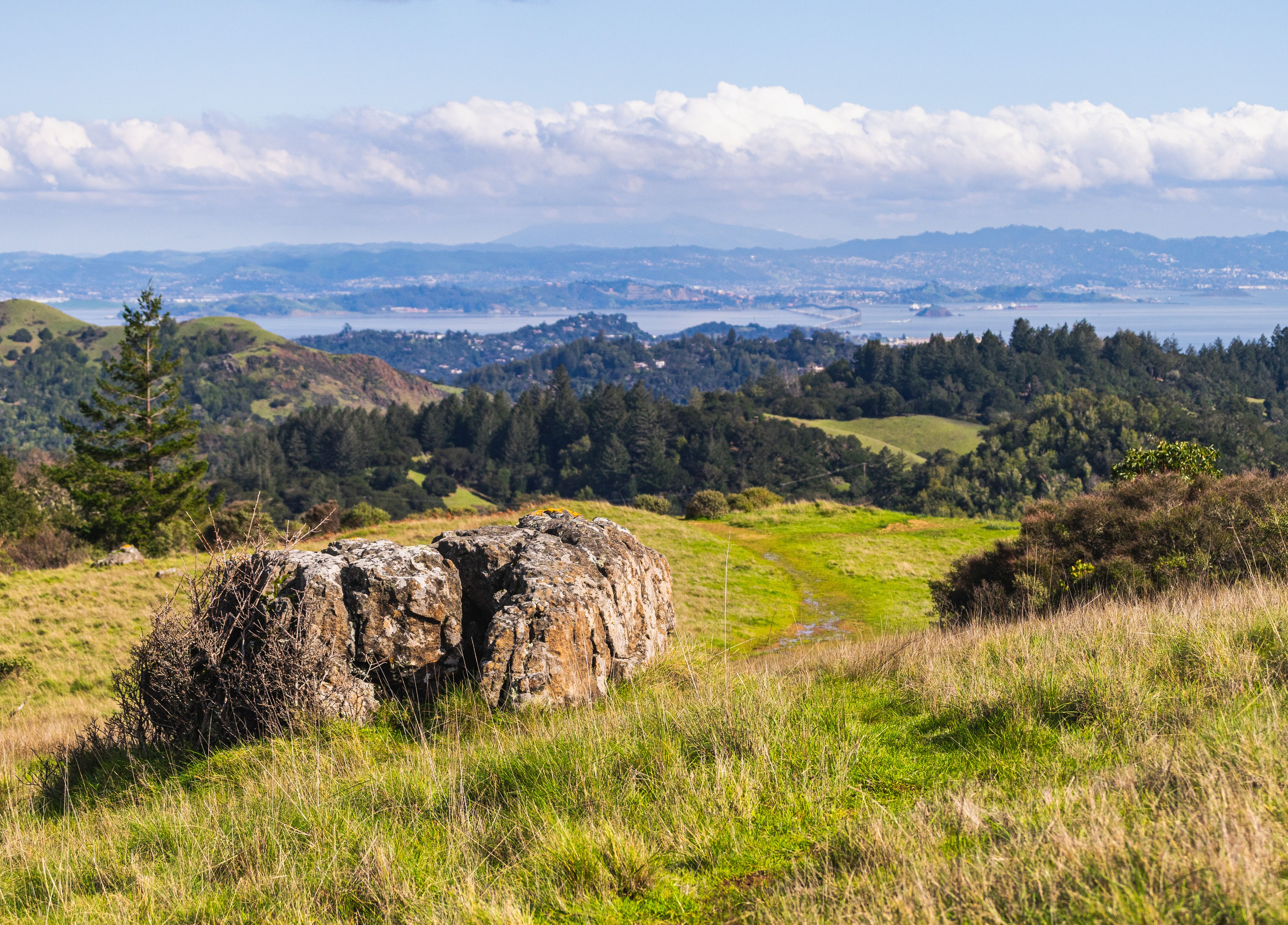 Panorama of the Valley with the River · Free Stock Photo