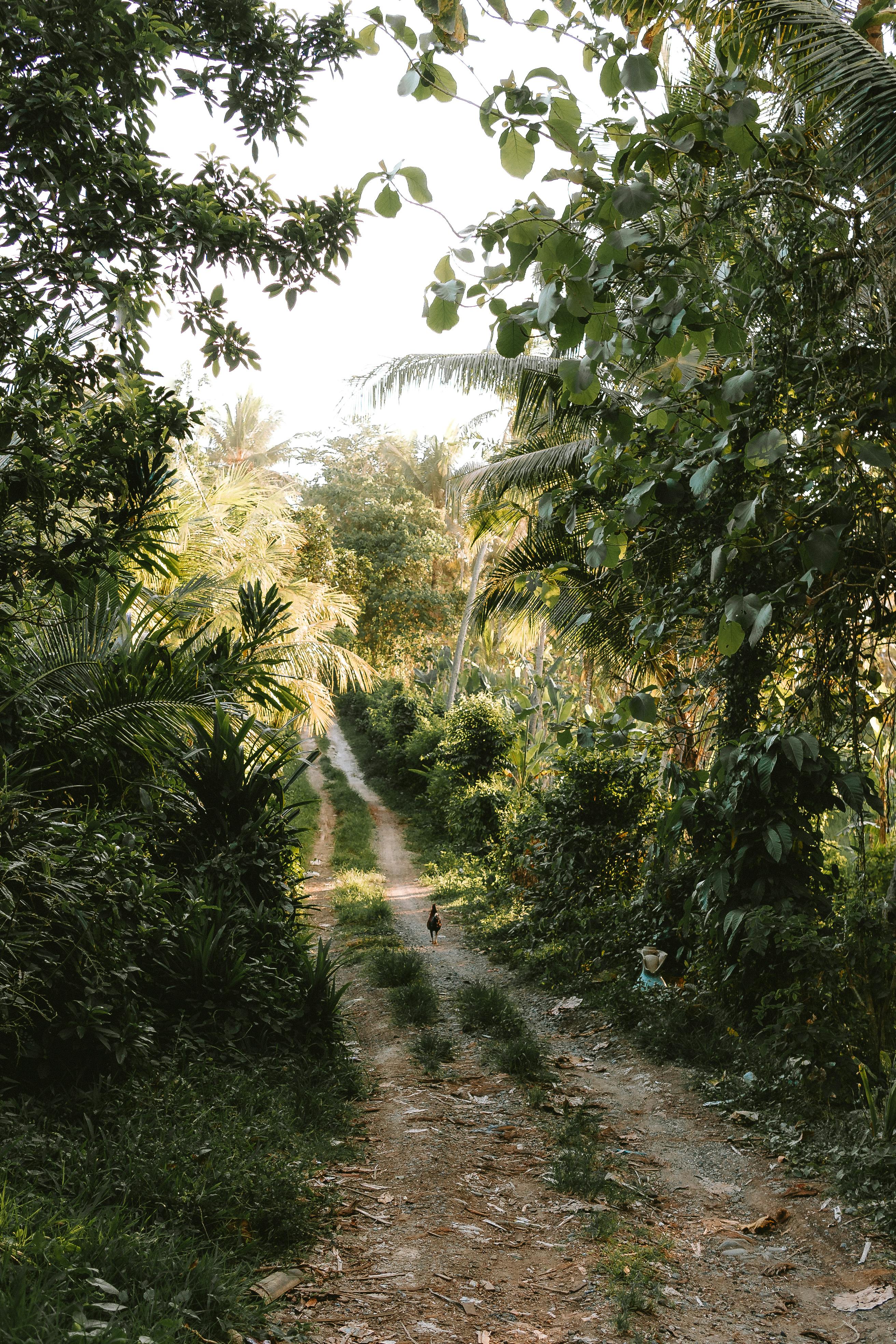 10 000+ Bokep+indonesia+pijat banque d’images et photos libres de droit · Téléchargement gratuit ...