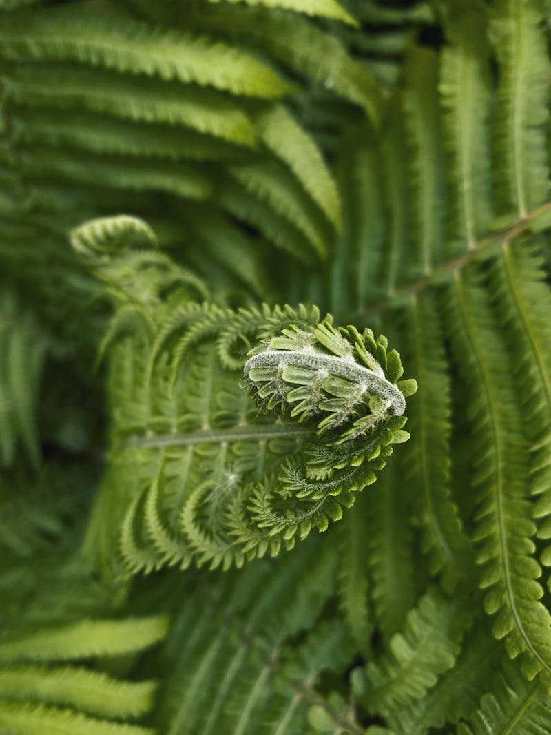 Tropical Nature Photos, Download The BEST Free Tropical Nature Stock ...