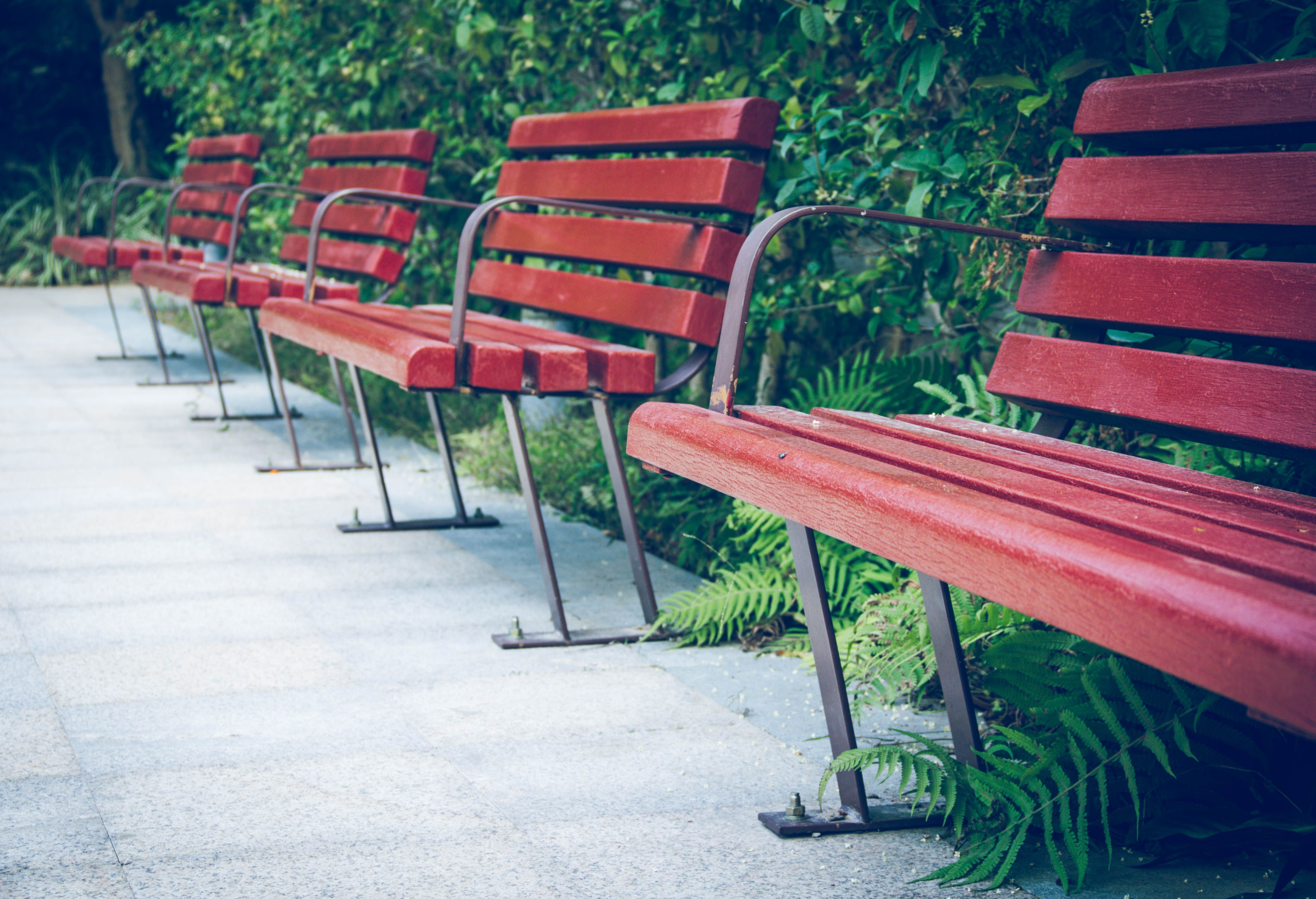 Row of Wooden Benches in Park · Free Stock Photo