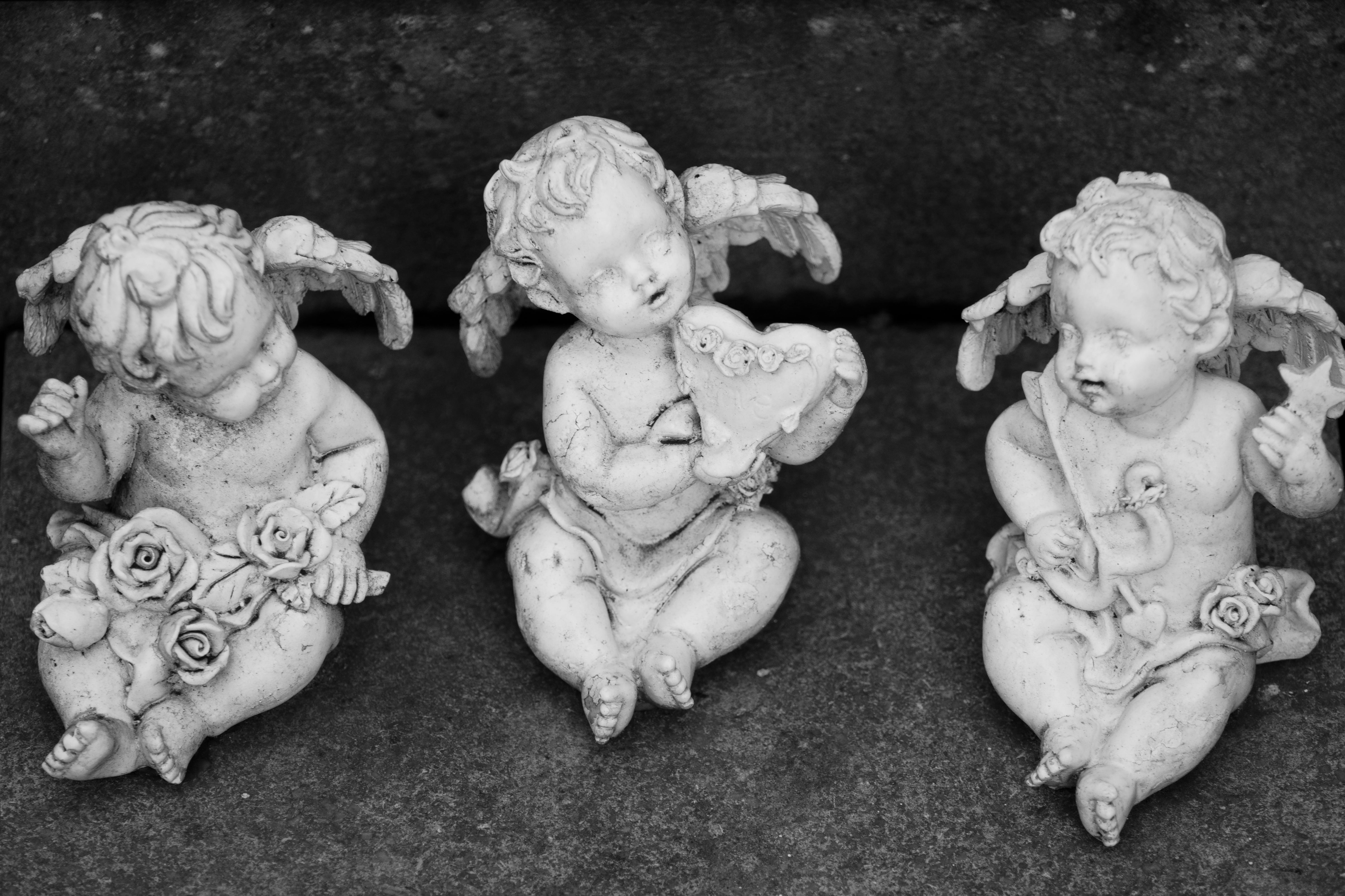 Cherubism Photos, Download The BEST Free Cherubism Stock Photos & HD Images