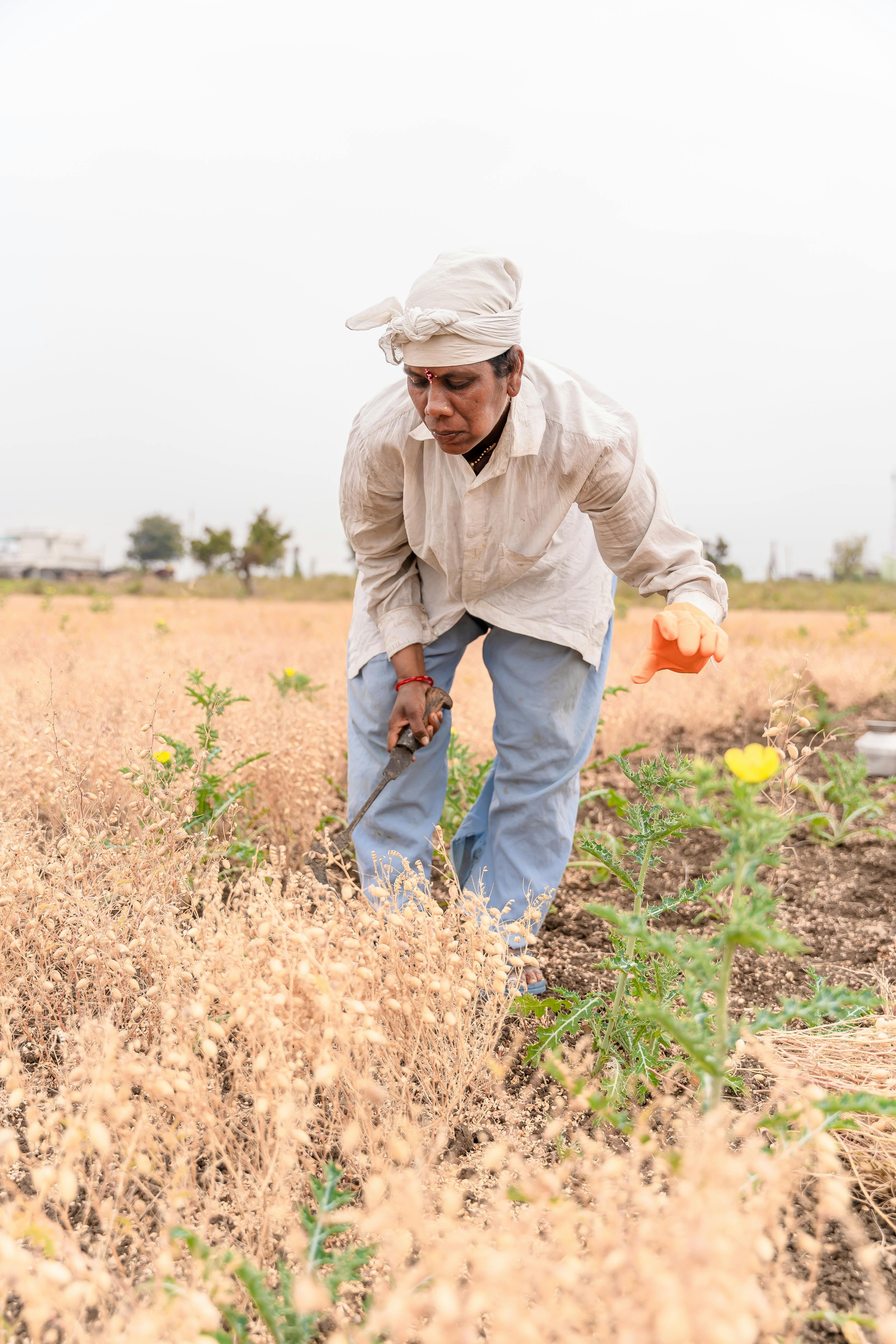 Farmer in Field · Free Stock Photo
