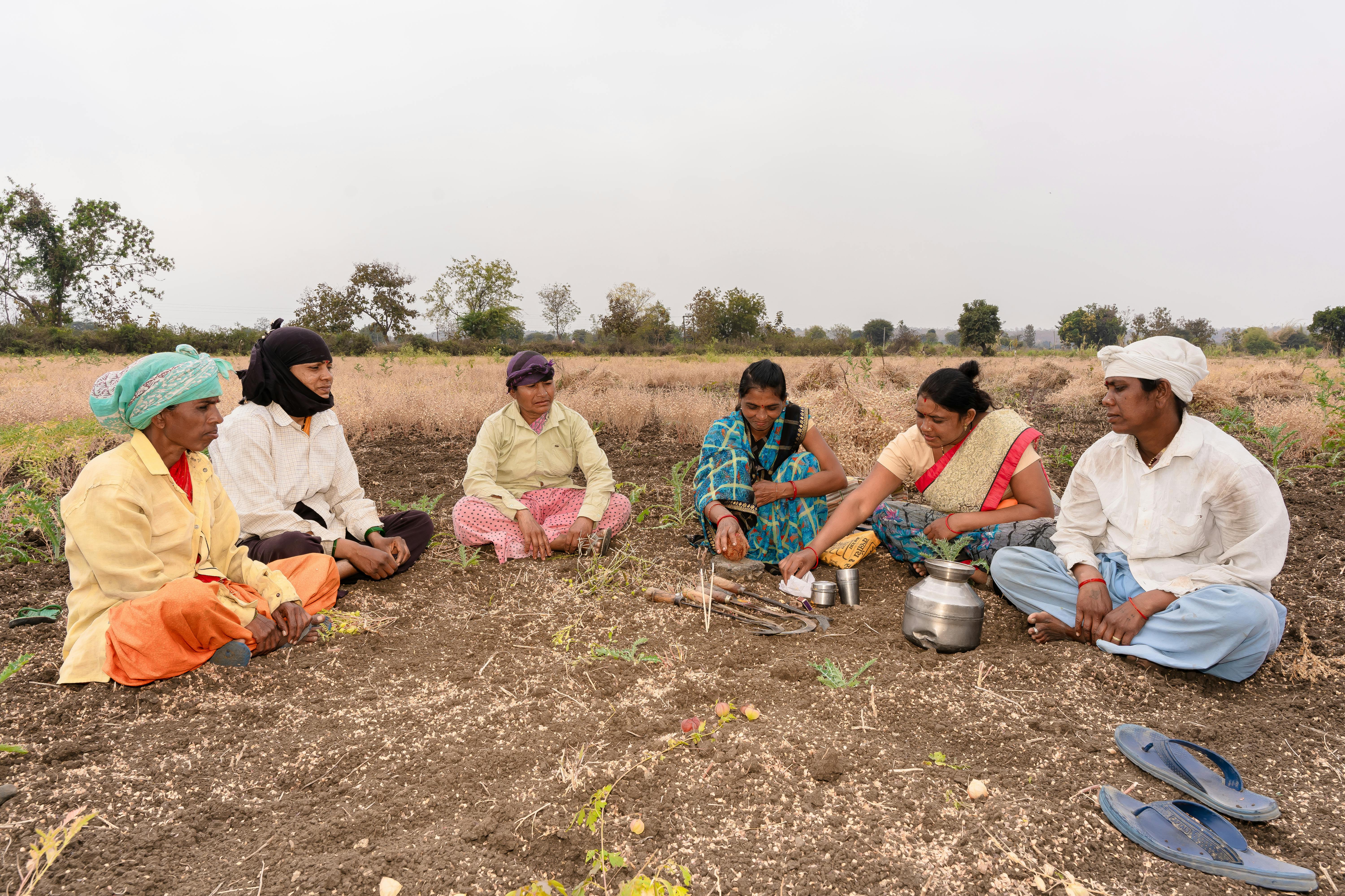 Farmer Group Discussion Photos, Download The BEST Free Farmer Group ...