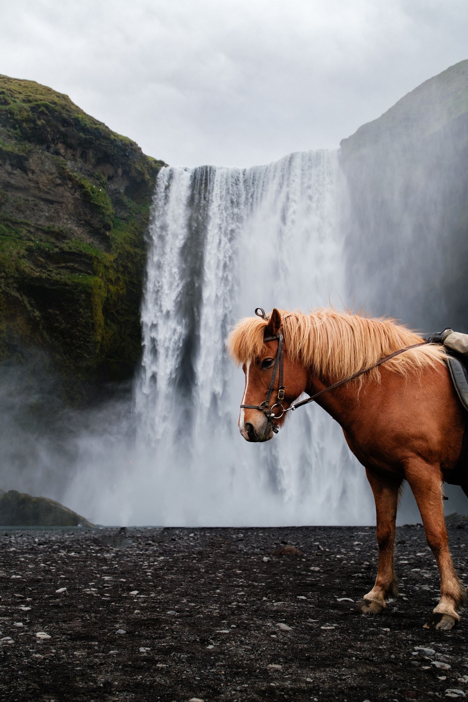 Horse Waterfall Photos, Download The BEST Free Horse Waterfall Stock ...