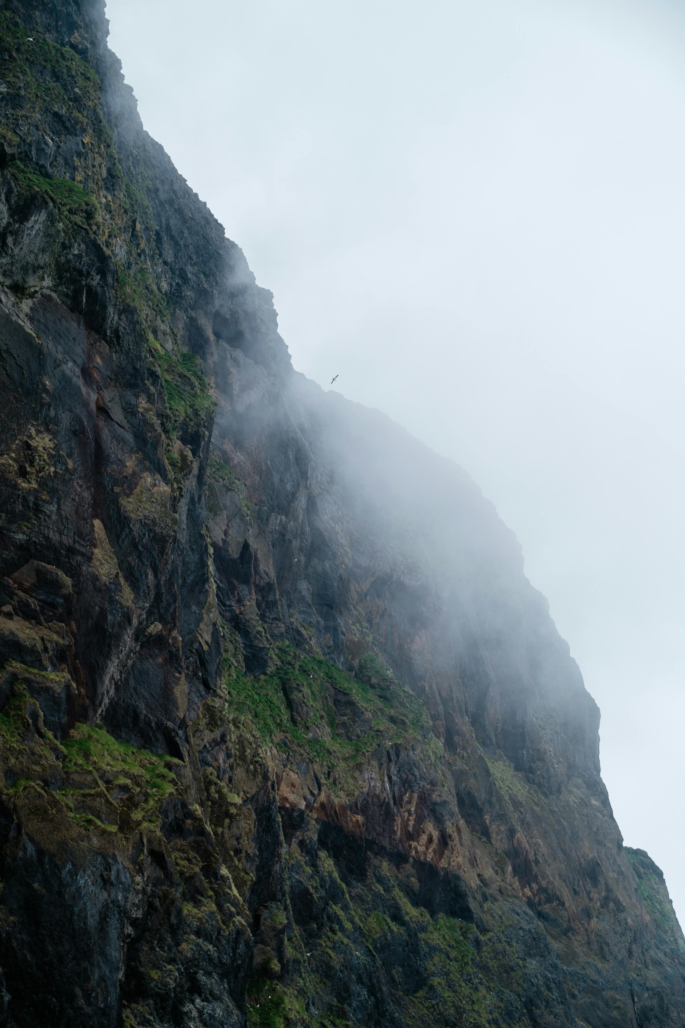 Fog over Cliff on Coast · Free Stock Photo