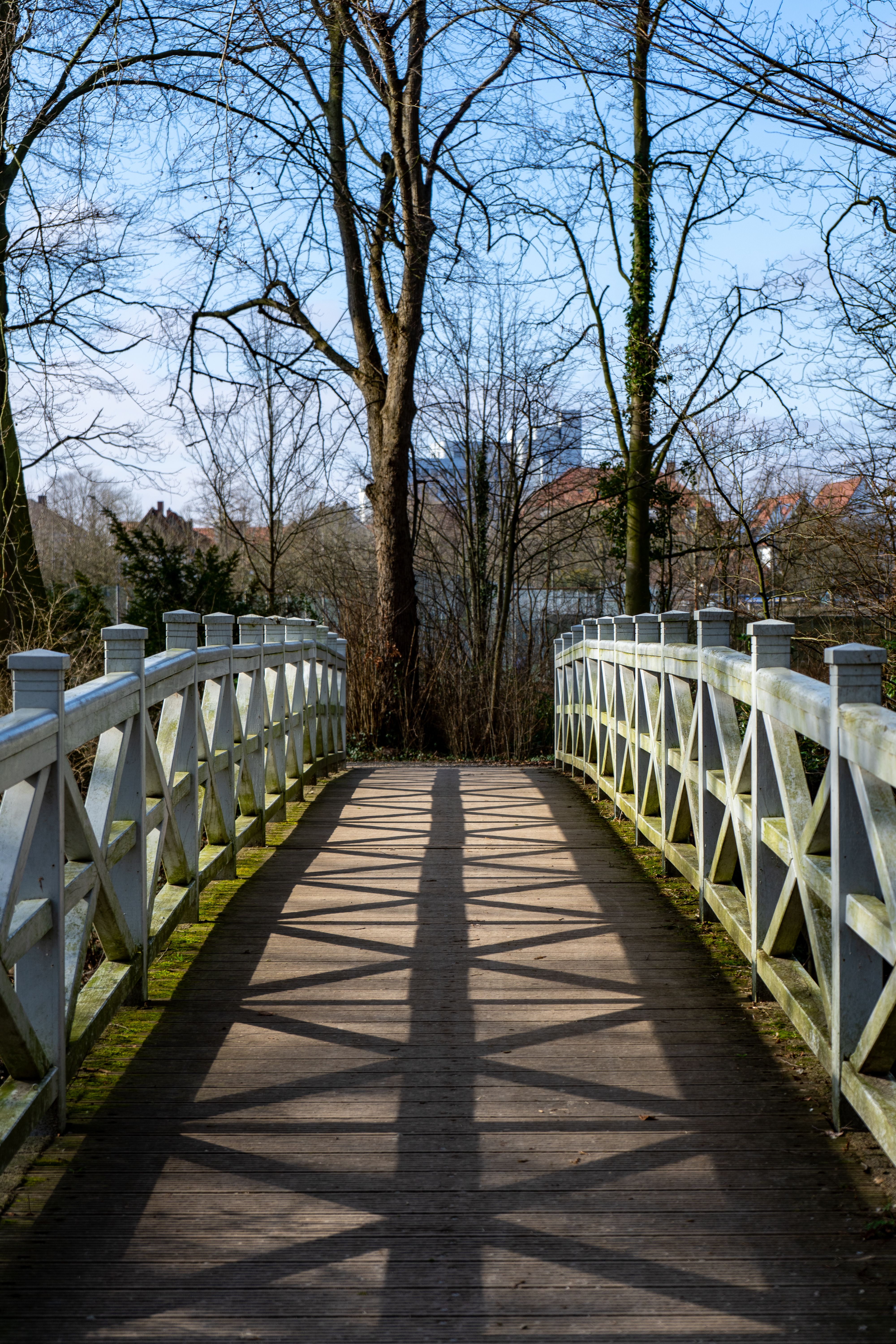 Footbridge in Park · Free Stock Photo