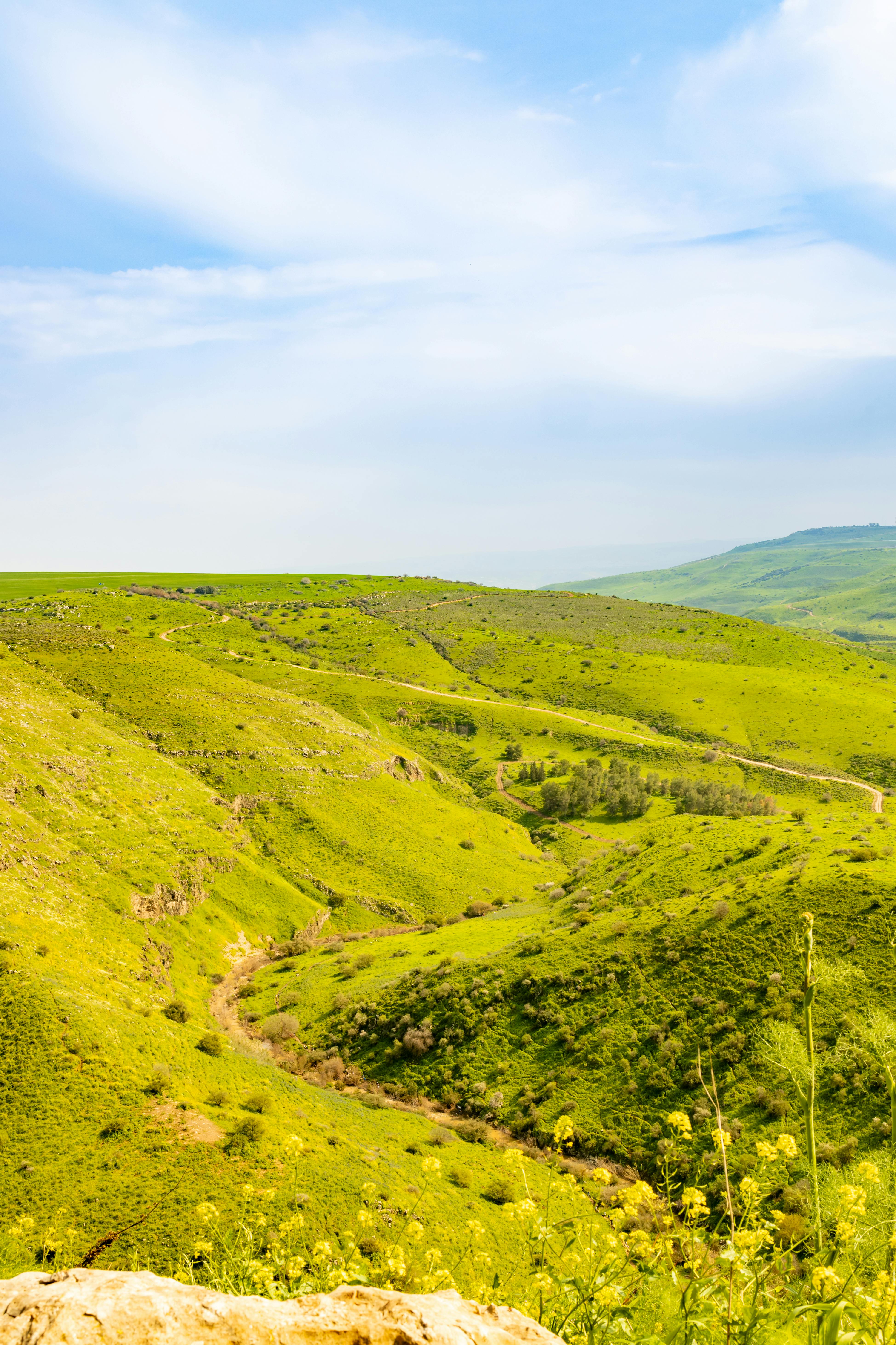 Green Countryside Landscape · Free Stock Photo