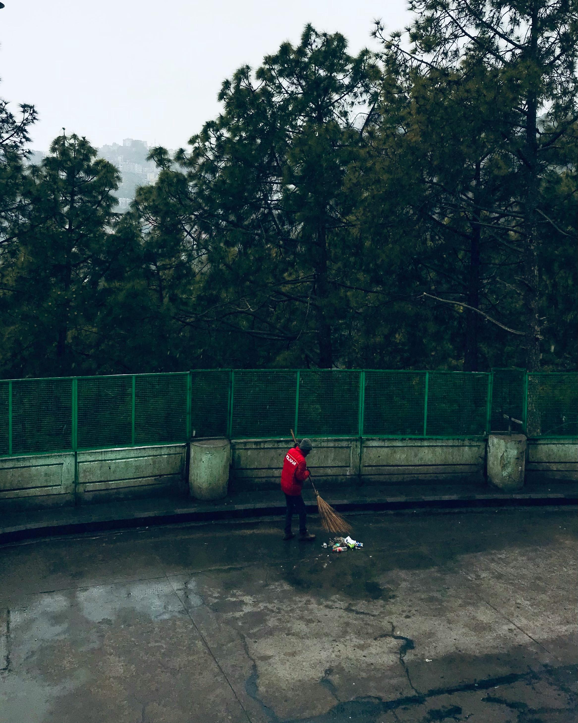The Blue-Eyed Guardian of the Medina · Free Stock Photo