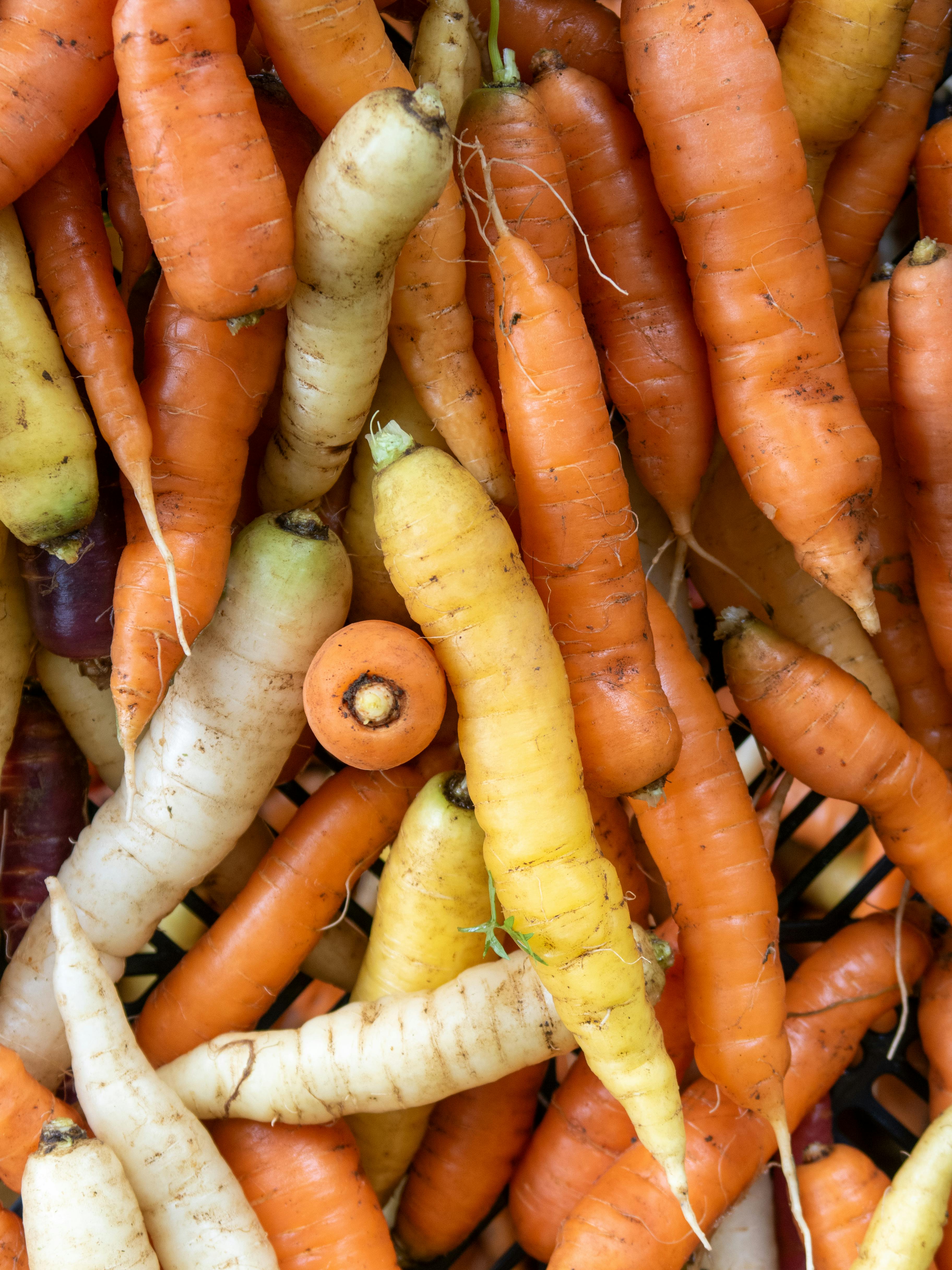 Close-up Photography of Orange Carrots · Free Stock Photo