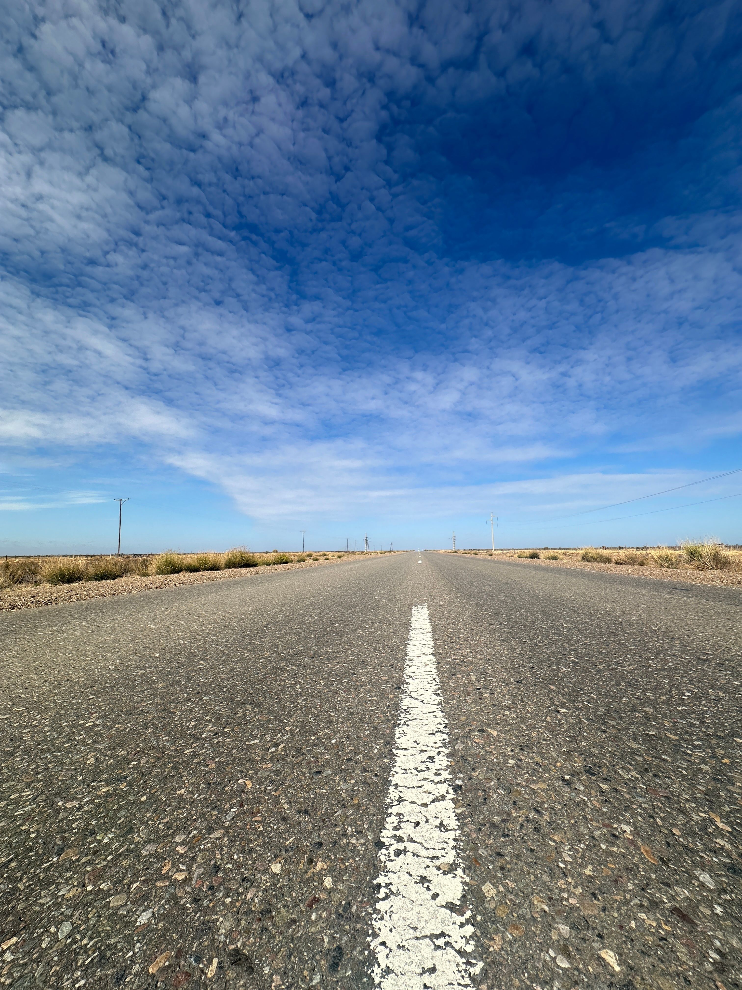 Photo of Asphalt Road During Daytime · Free Stock Photo