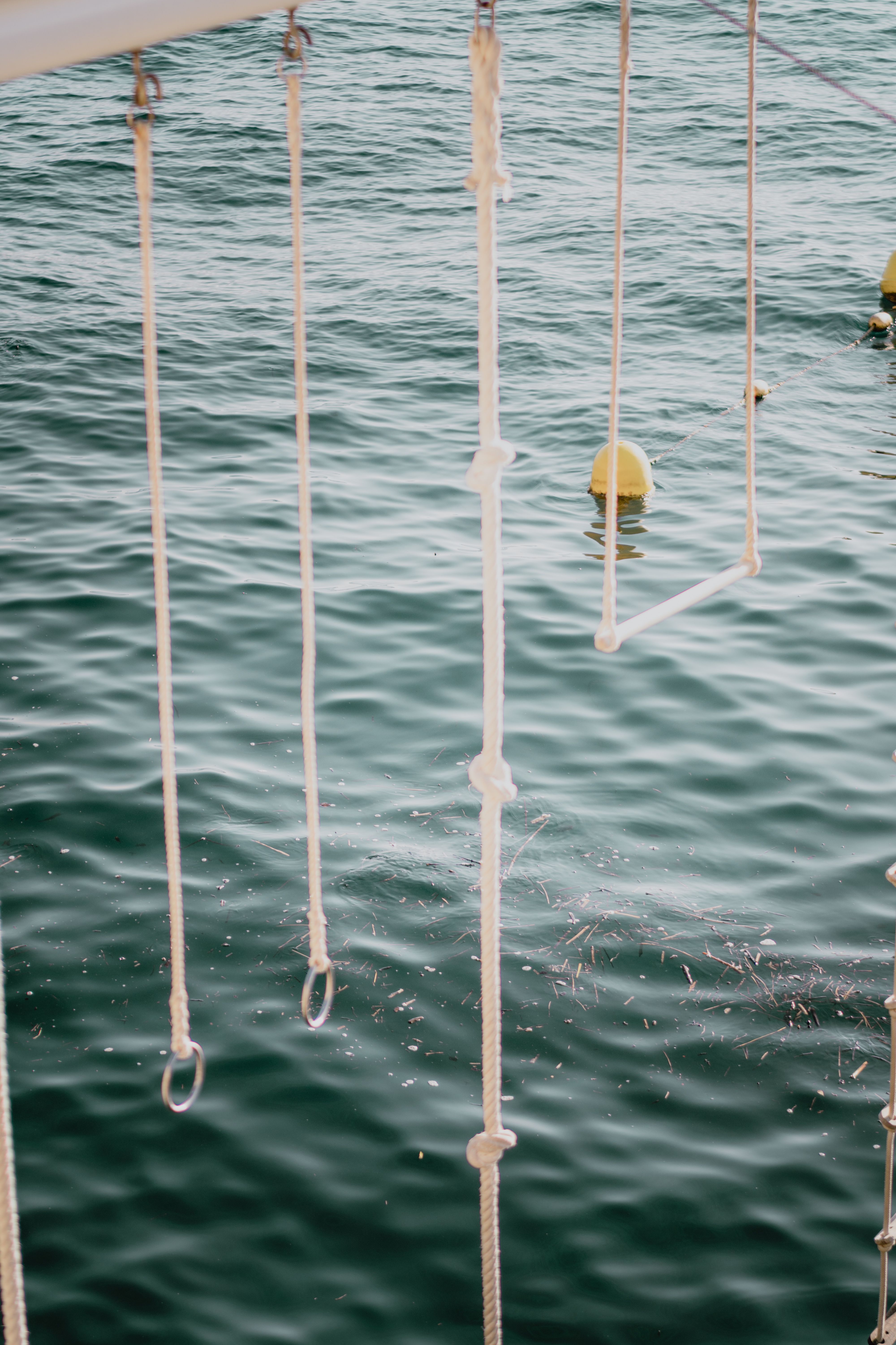 Lines and Ropes above Water · Free Stock Photo