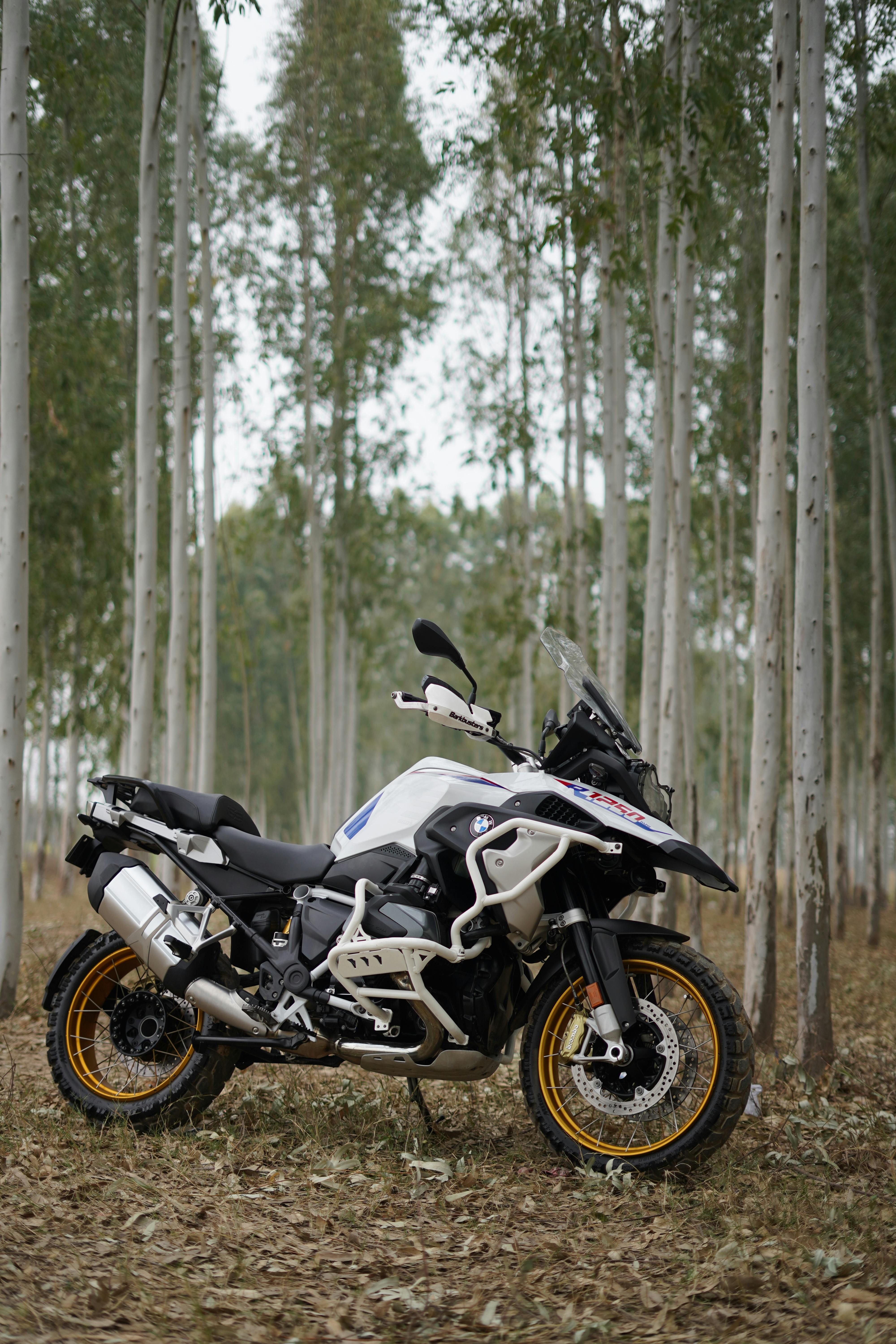 Motorcycle in a Forest · Free Stock Photo