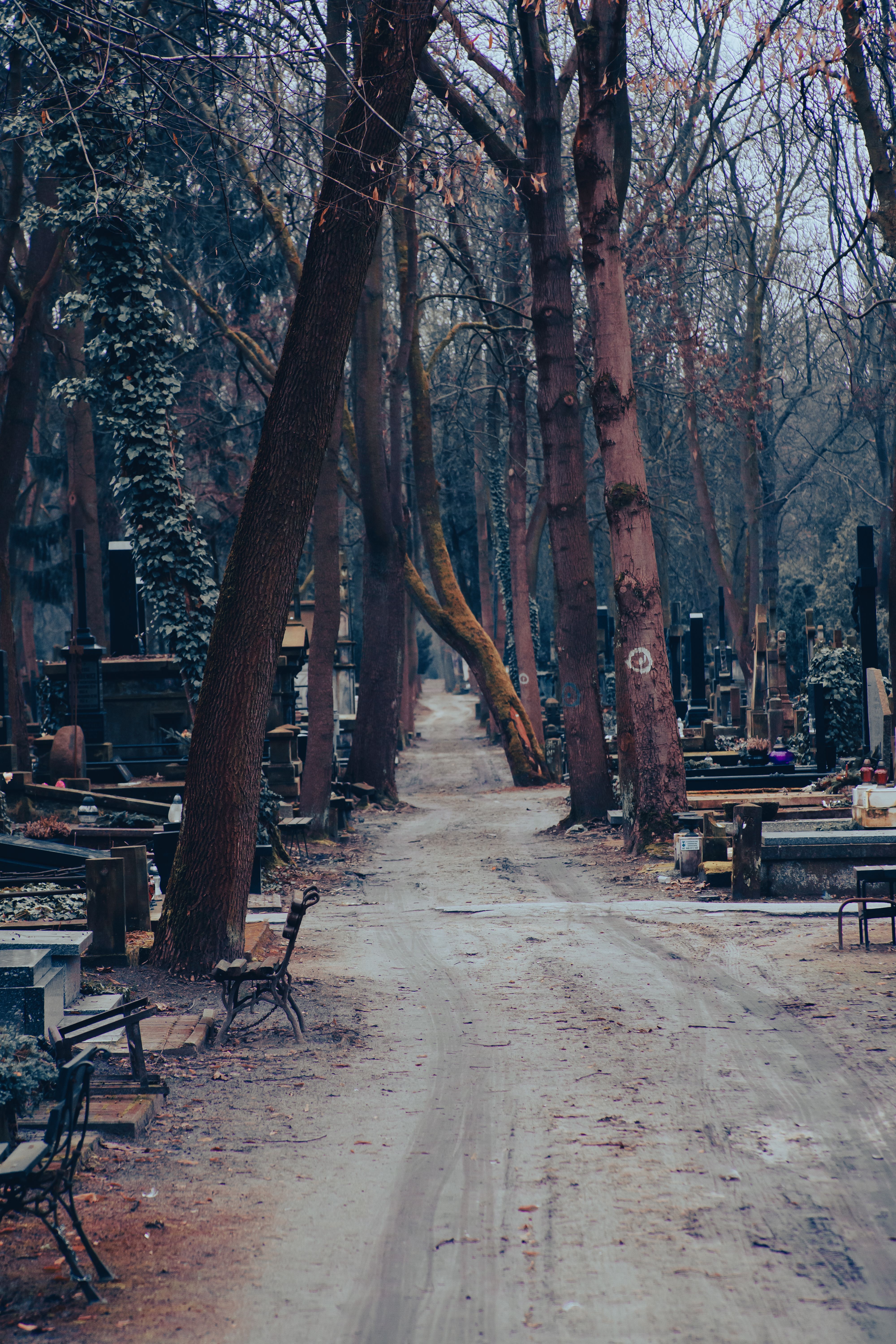 Cemetery Paris Photos, Download The BEST Free Cemetery Paris Stock ...