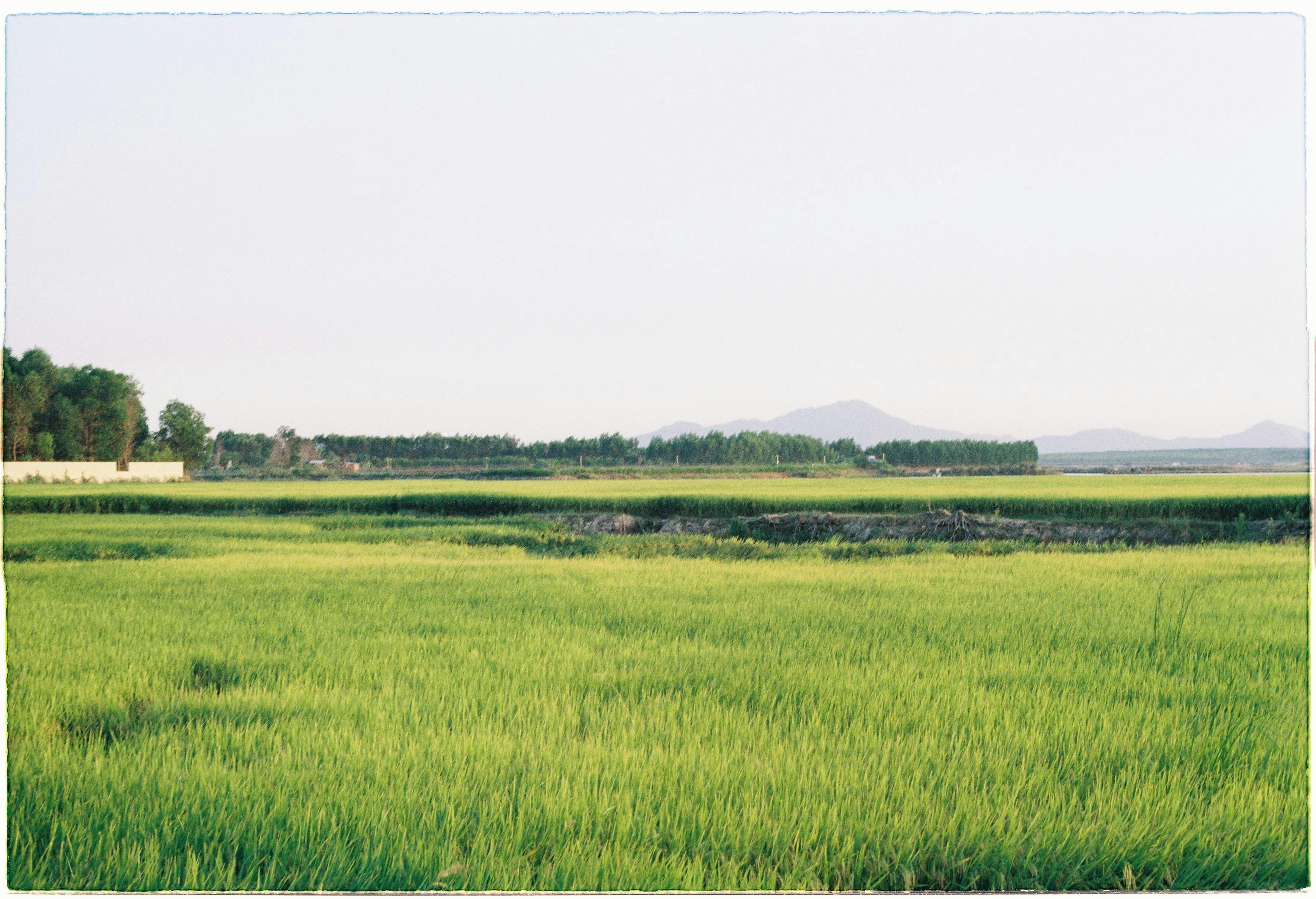 Farm Field Photos, Download The BEST Free Farm Field Stock Photos & HD ...